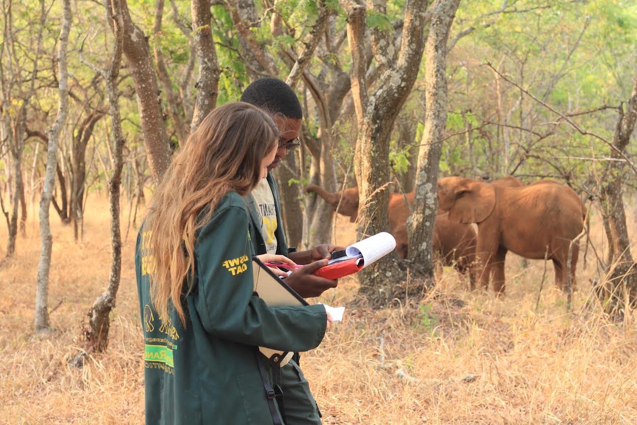 Pro Certificate — Center for Wildlife Studies