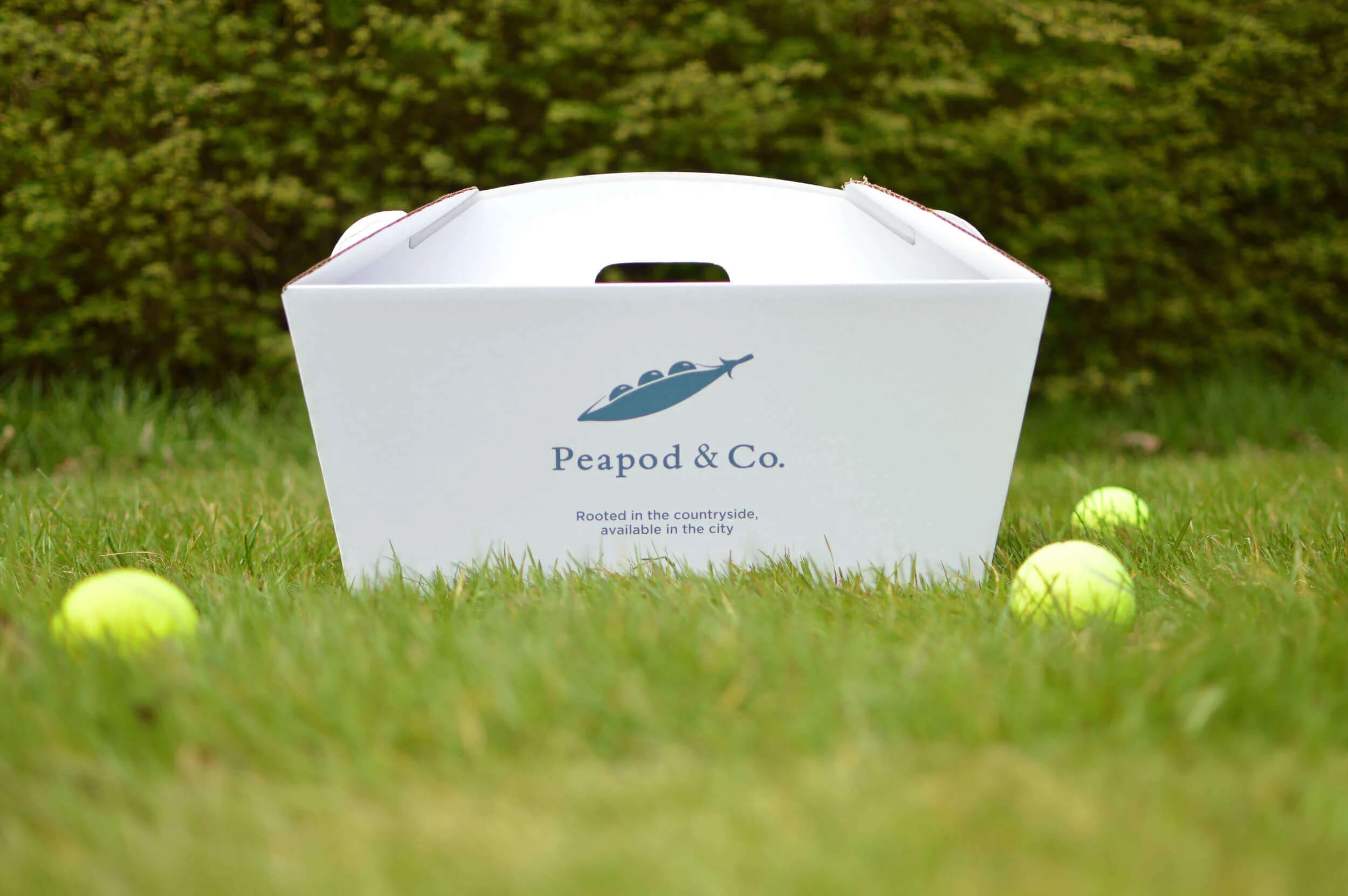 Picnic Food Gallery — Peapod & Co.