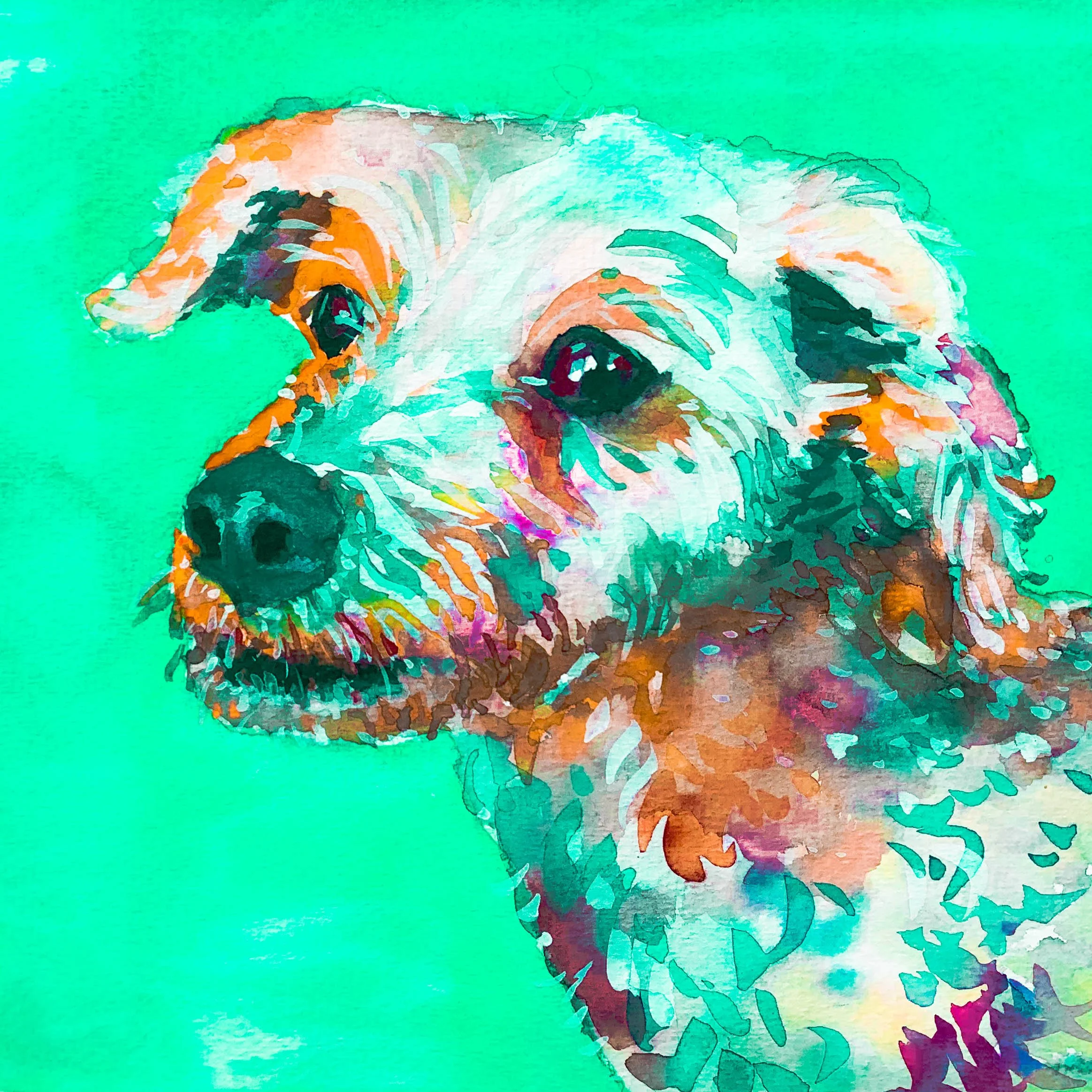 Pop Art Pet Portraits — C5 Studios Community Arts Center