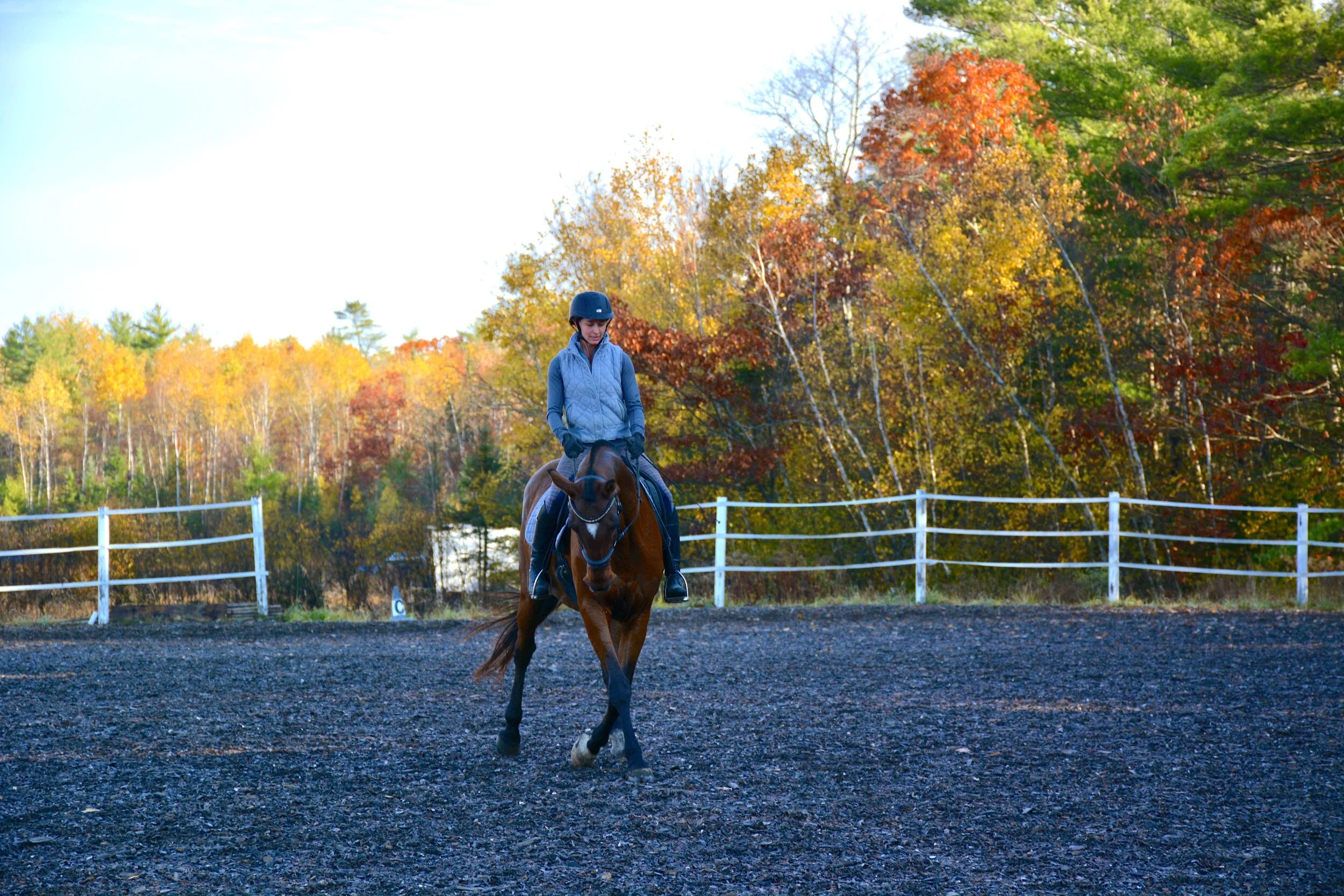 Board — Wild Rose Farm