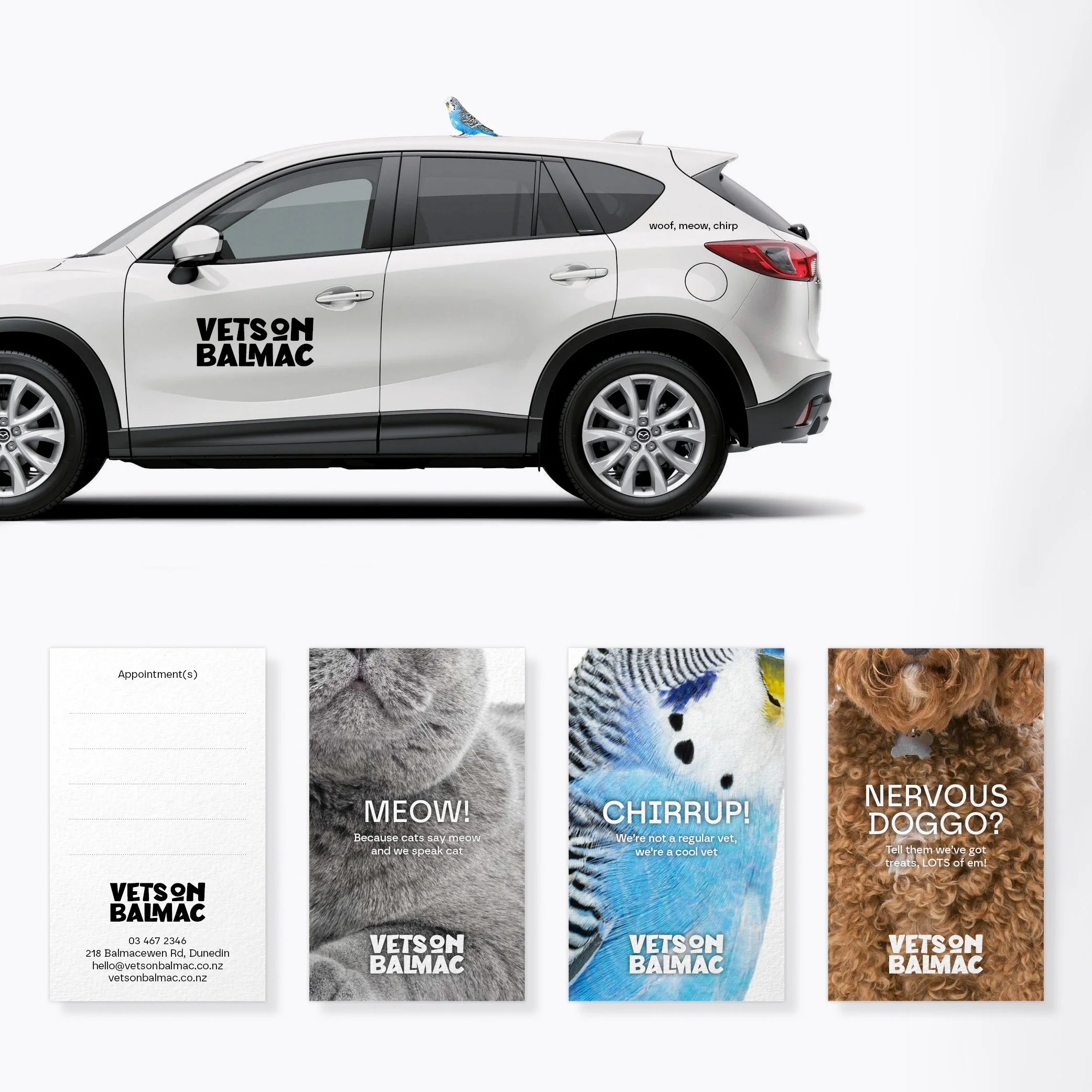 Vets on Balmac — Better.