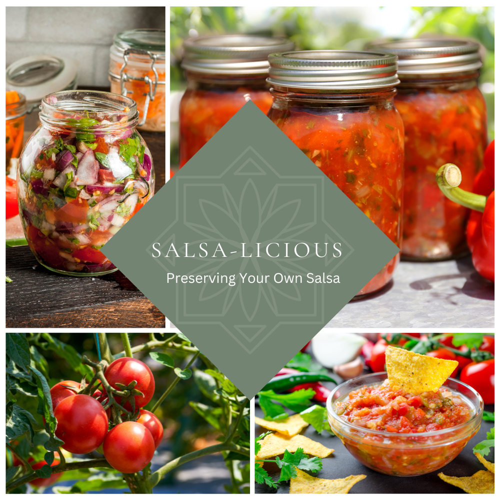 Classes and Workshops — gather