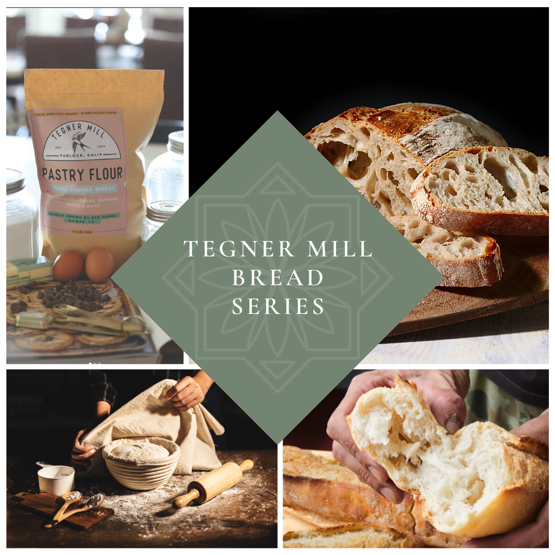 Classes and Workshops — gather