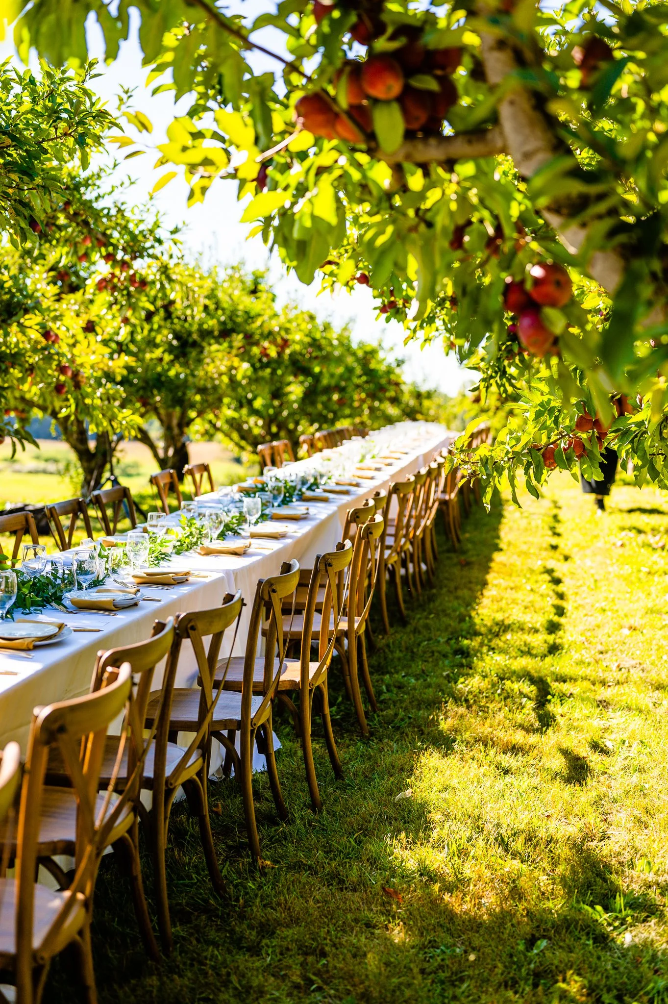 Apple Orchard Wedding
