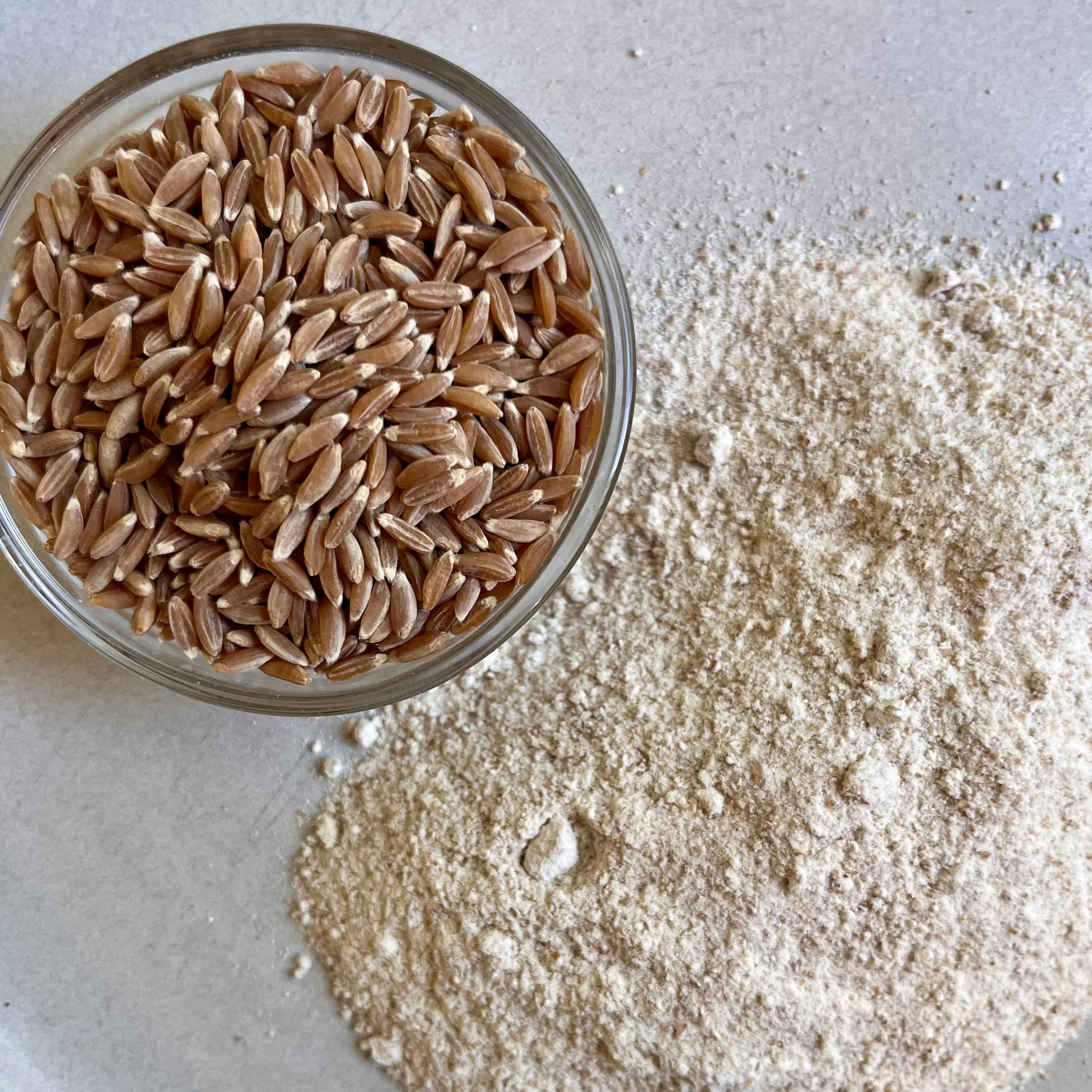 Emmer Wheat (Farro Medio) — Antisana Seed Company