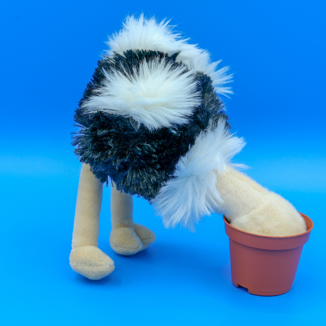 DICE Consulting - Management Consultant