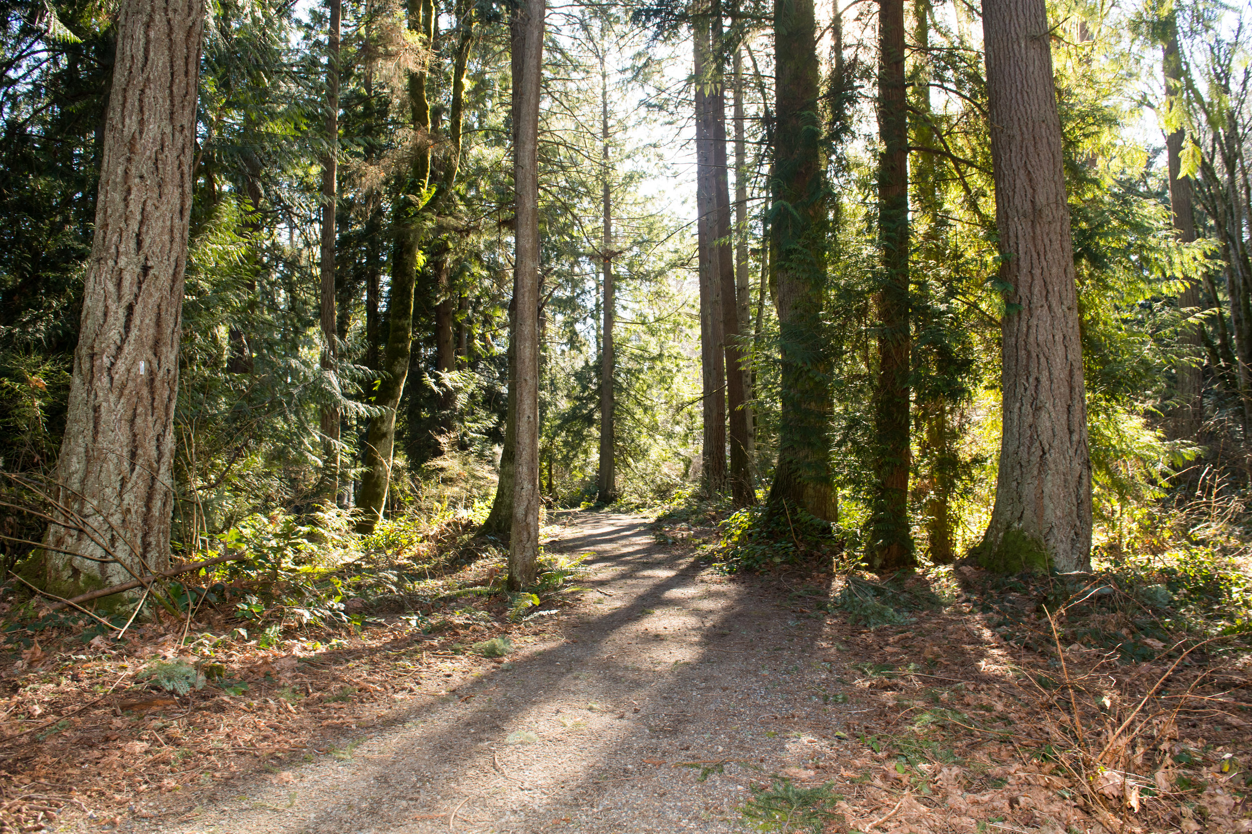 Parks/Schools/Neighborhood — THE HIGHLANDS SEATTLE