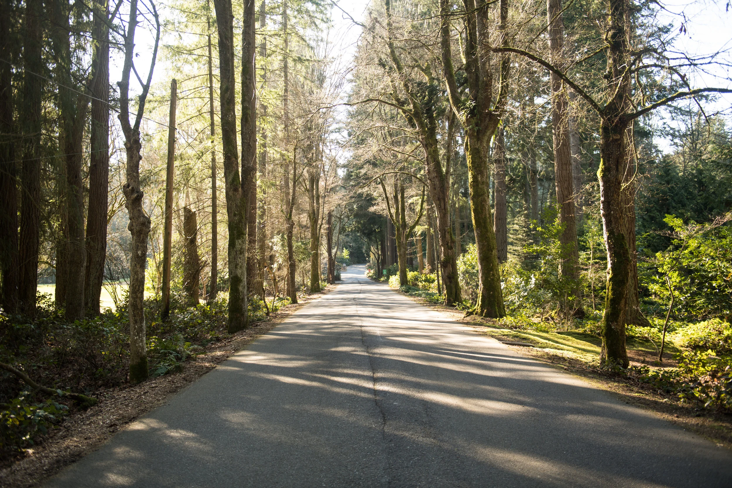 Parks/Schools/Neighborhood — THE HIGHLANDS SEATTLE
