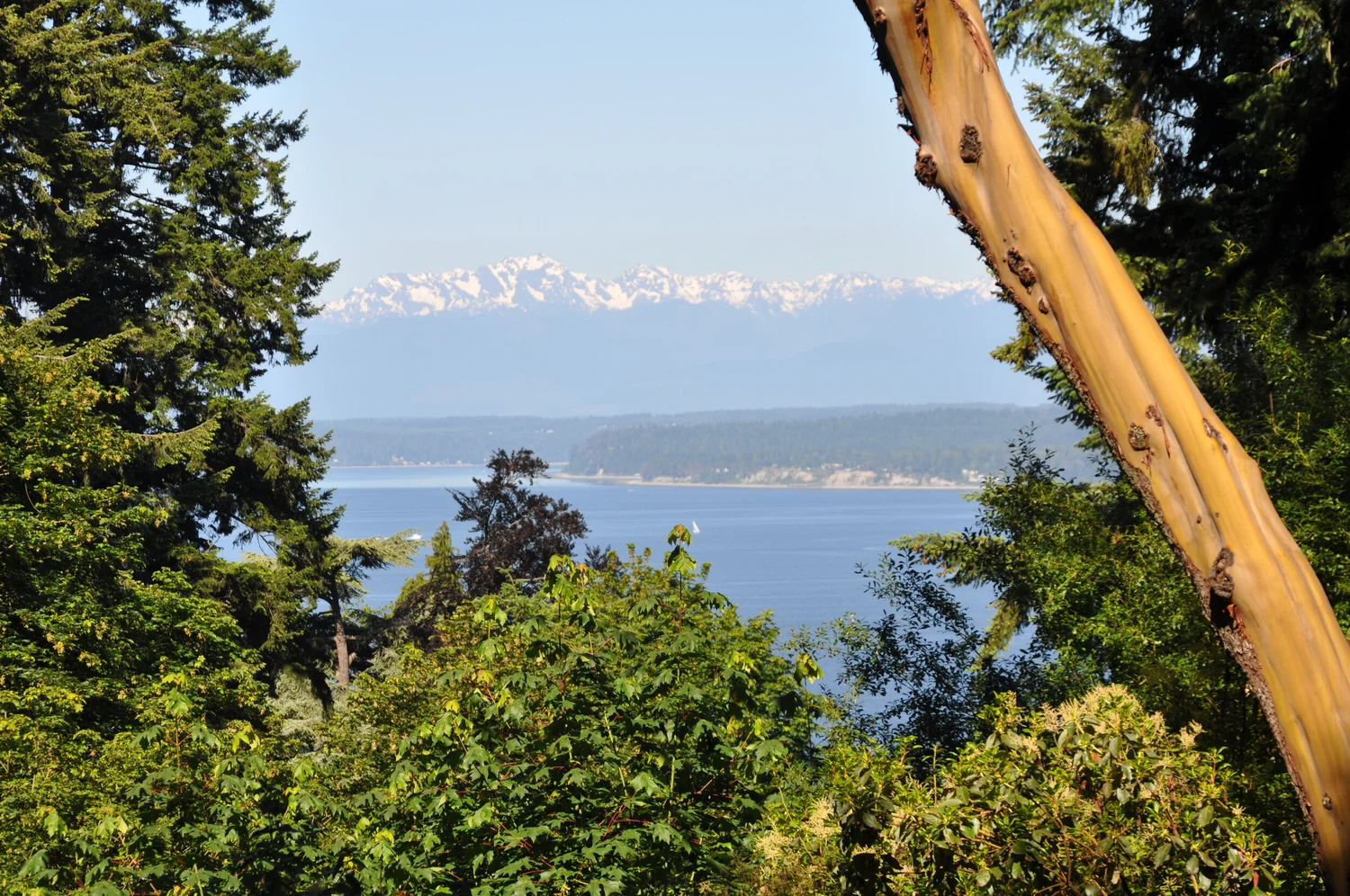 THE HIGHLANDS SEATTLE