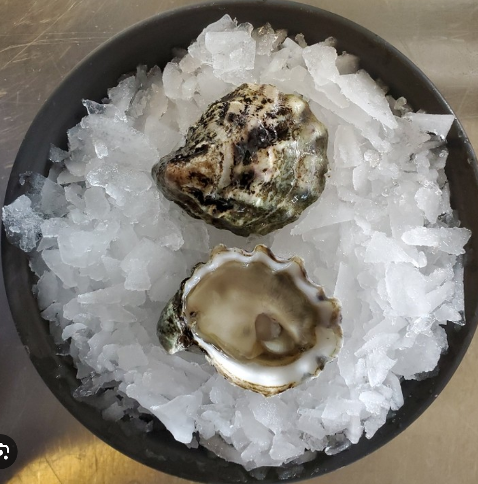 KG Prime SS Bar Daily Oyster Selection Page