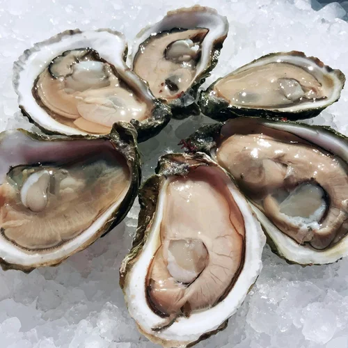 Stuart Fish Grill Daily Oyster Selection (Copy)