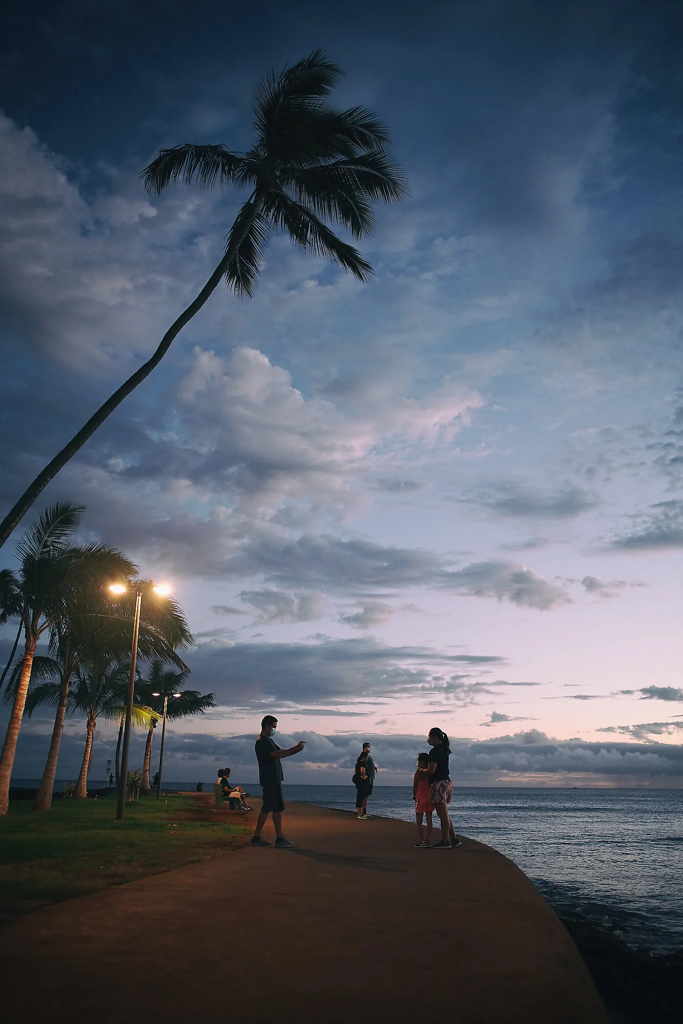 Greg Hatton — HNL Street Collective