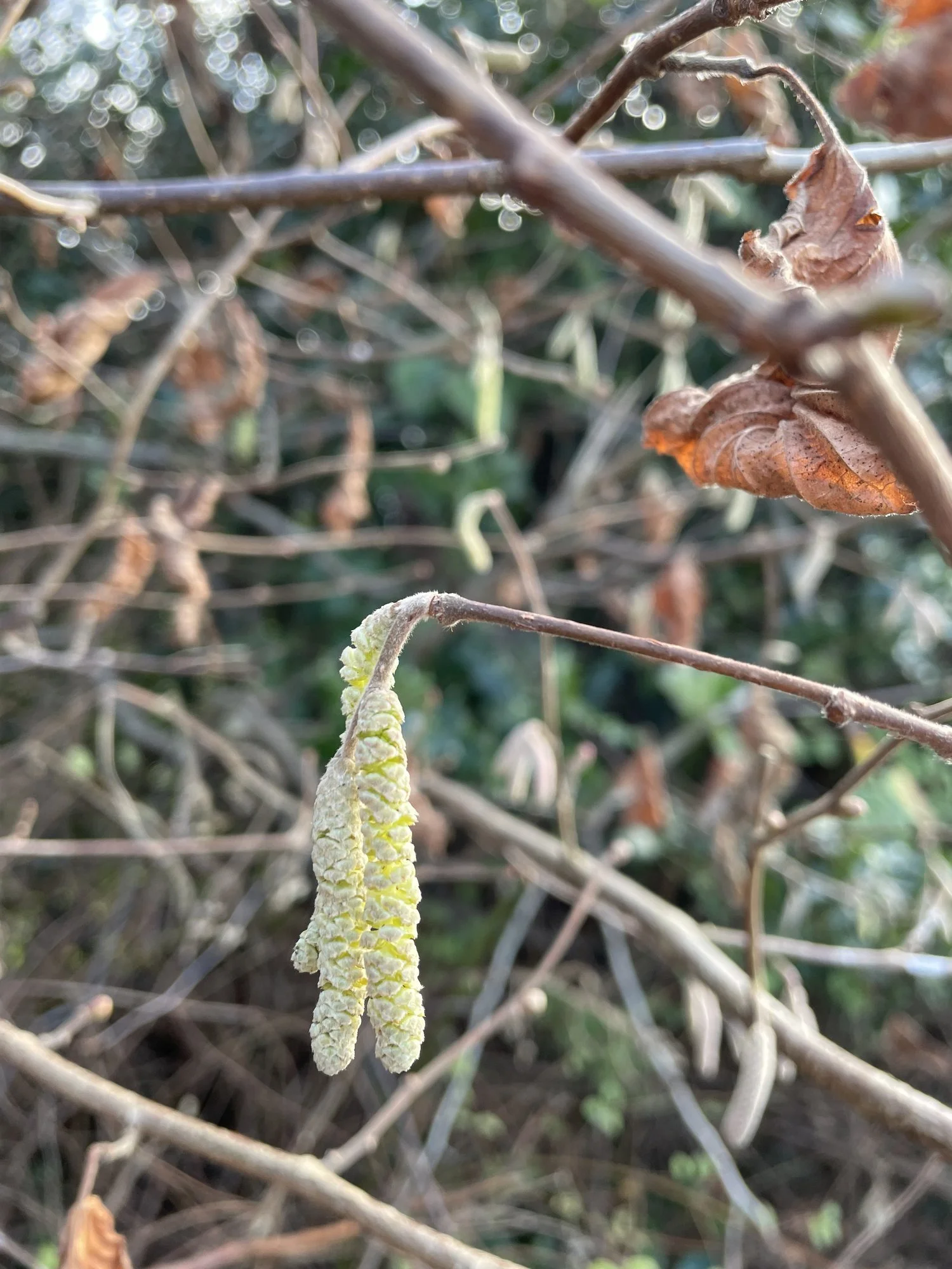 January 2024 — Grow Cook Enjoy