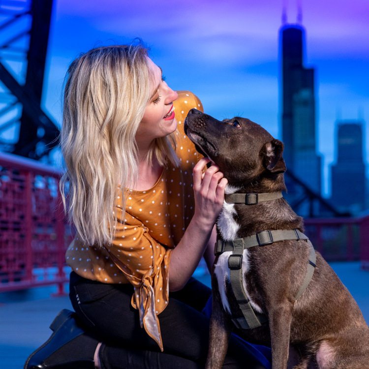 Foster — Mutts of the Midway