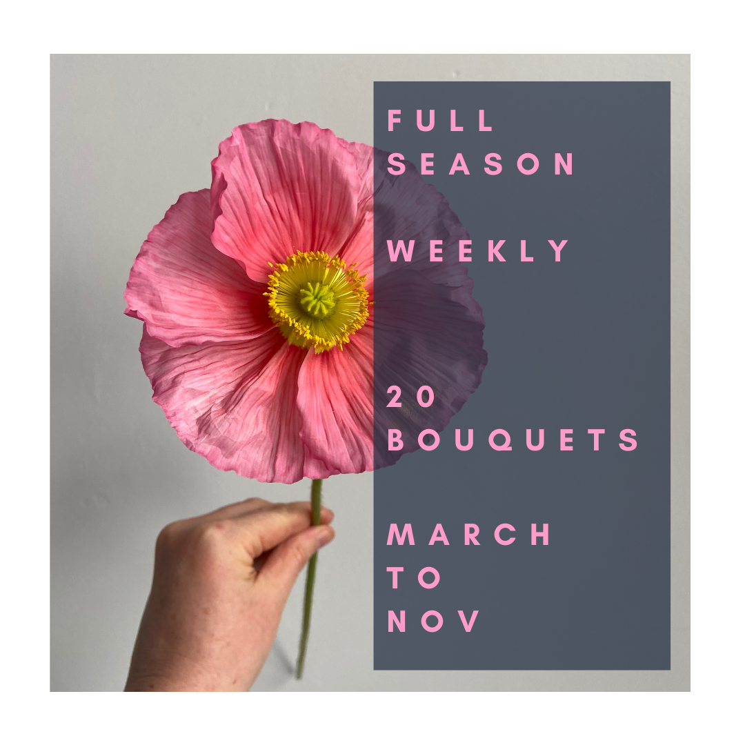 Molly Oliver Flowers - Local Flower Subscriptions and Sustainable Event ...