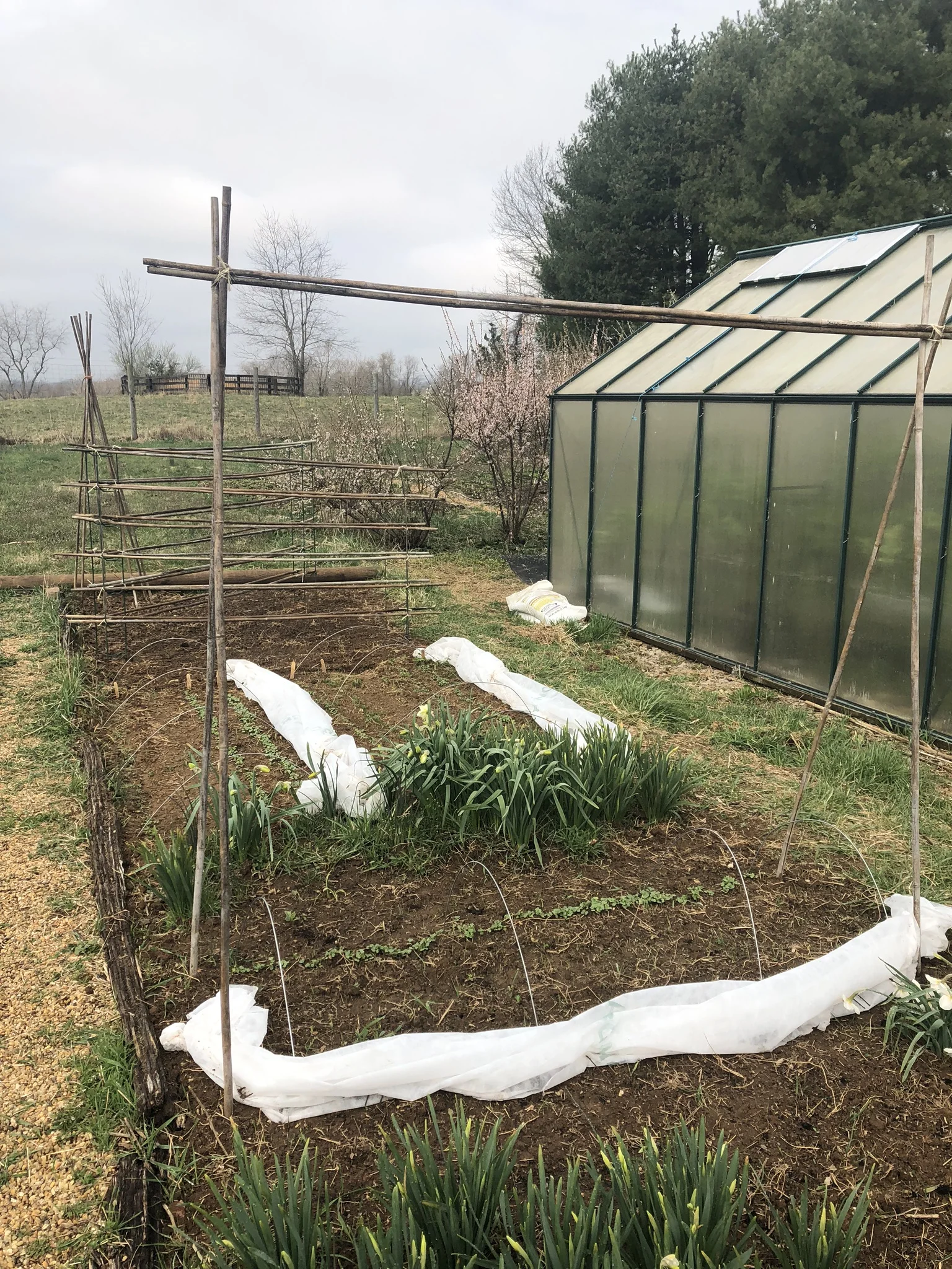 Gallery — Virginia Citrus LLC