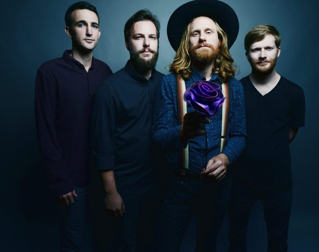 Modern Musician - Grow Your Fanbase