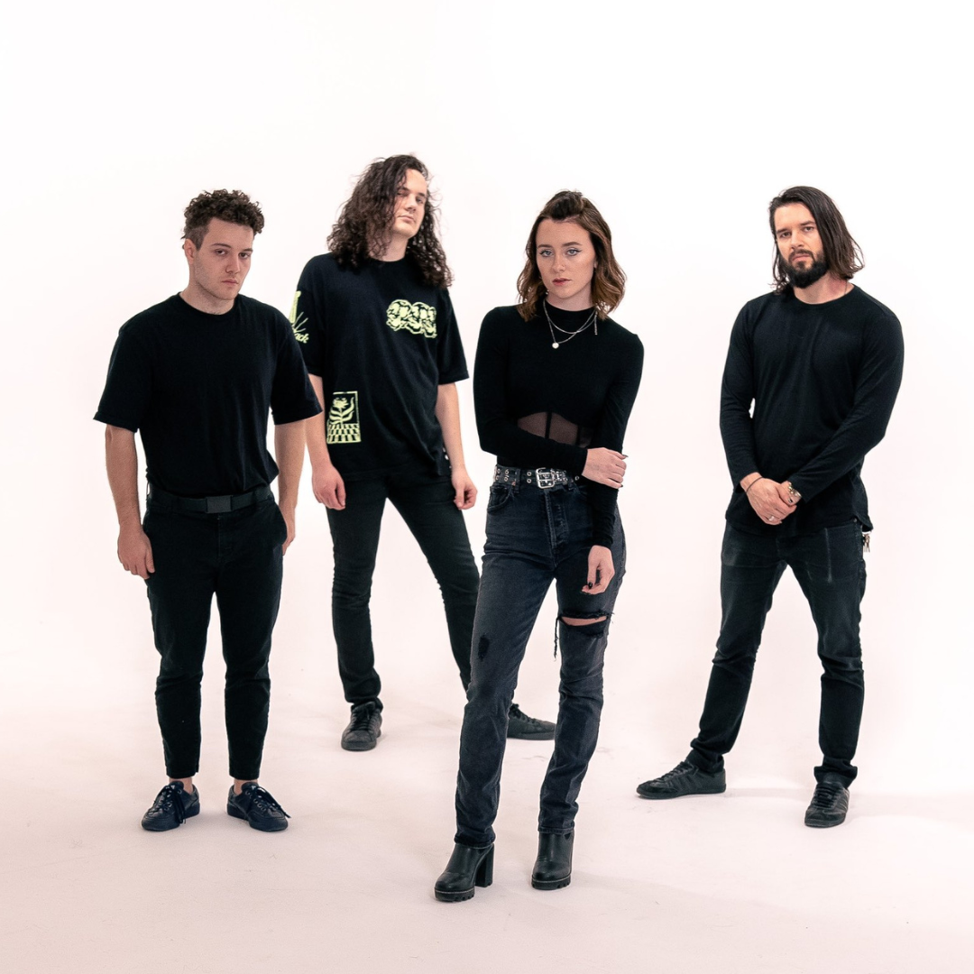 Modern Musician - Grow Your Fanbase