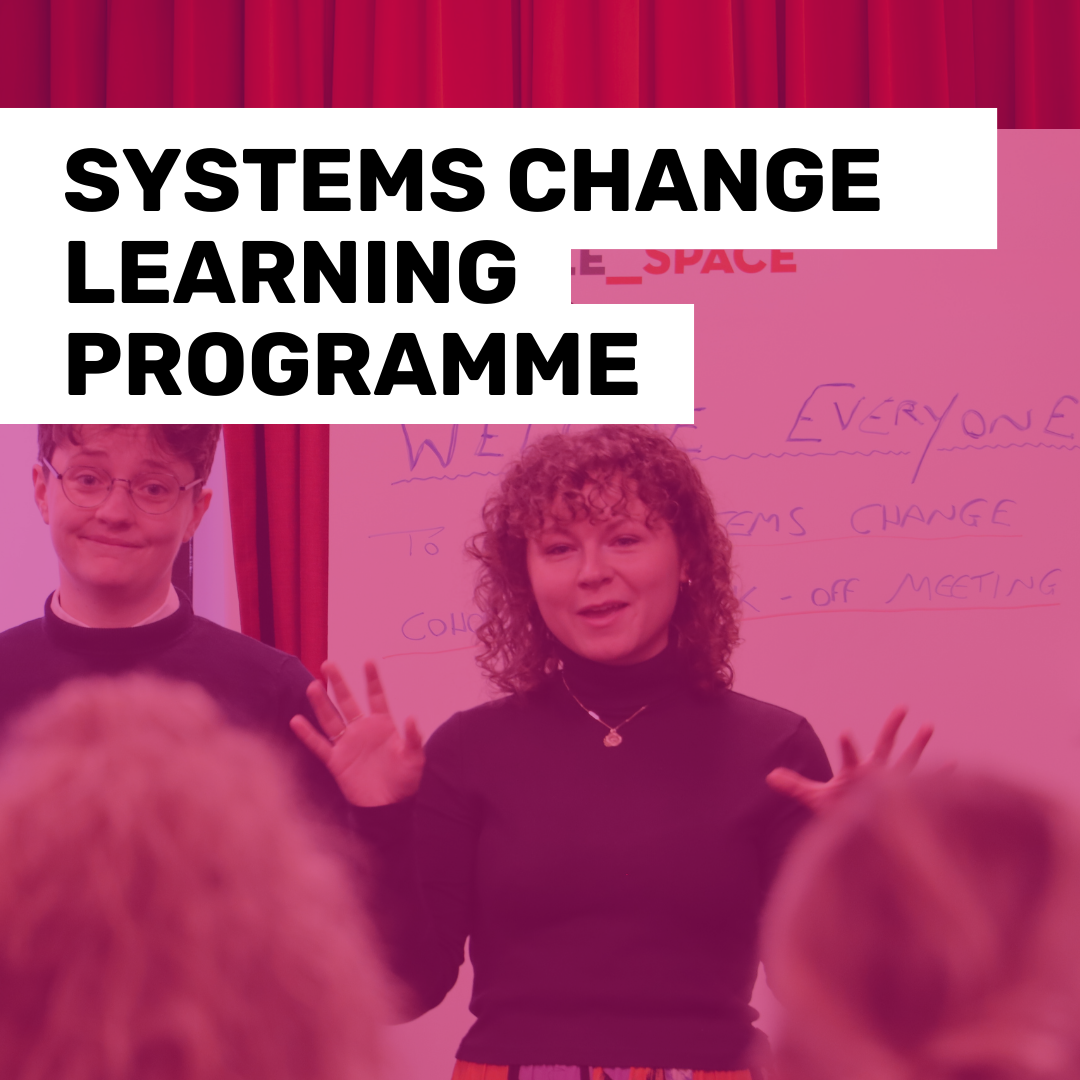 Systems Thinking Training — DARTINGTON