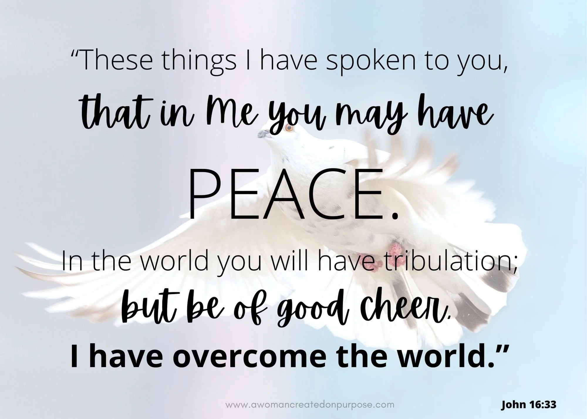 Will You Accept the Peace Jesus Offers?
