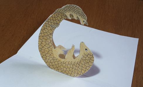 Resources and Fun - Save Pangolins