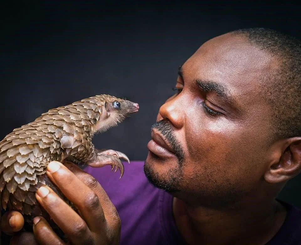 World Pangolin Day 2023: Conversations with Pangolin Champions - Part 2 ...