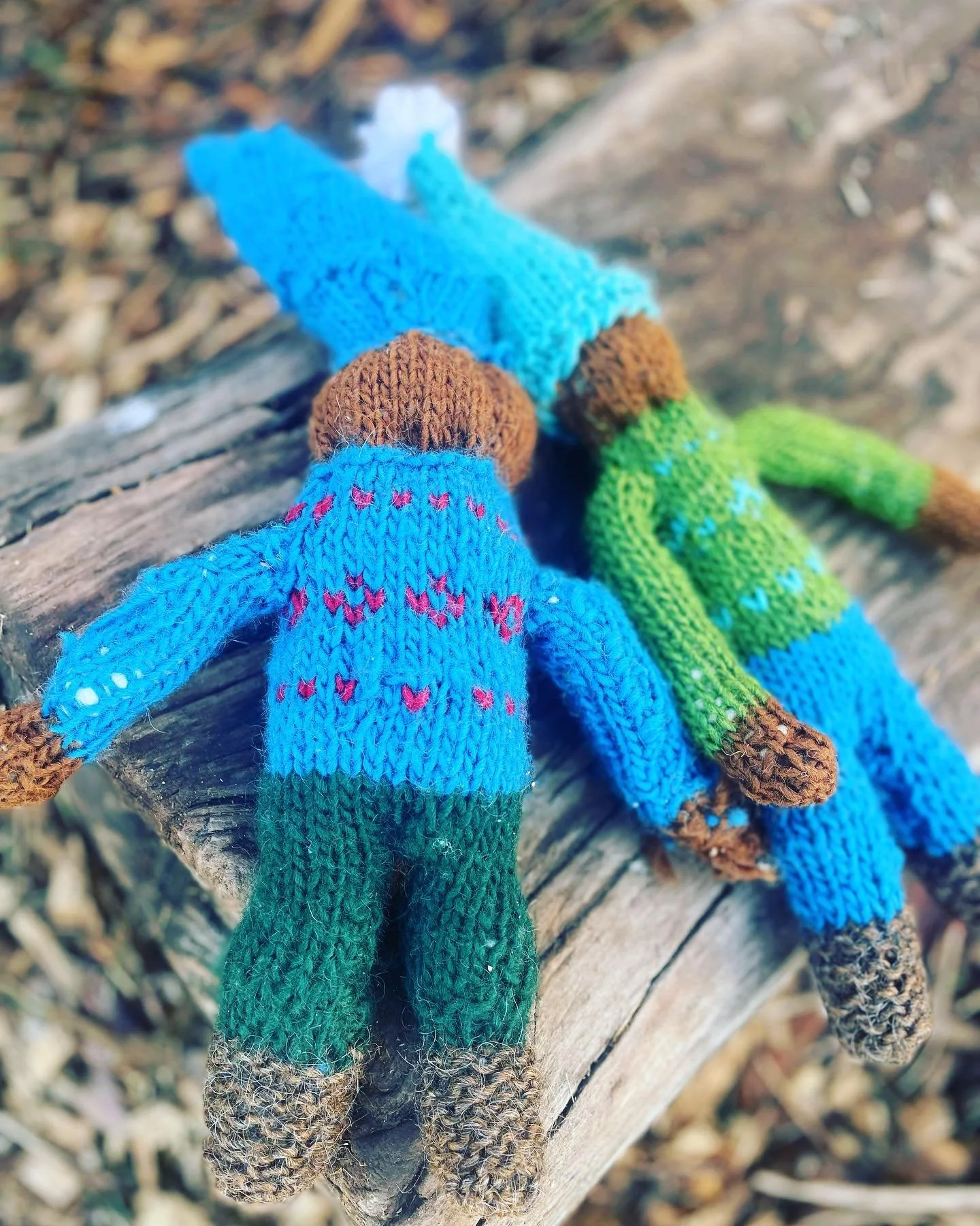 Grade Two — Bright Water Waldorf School
