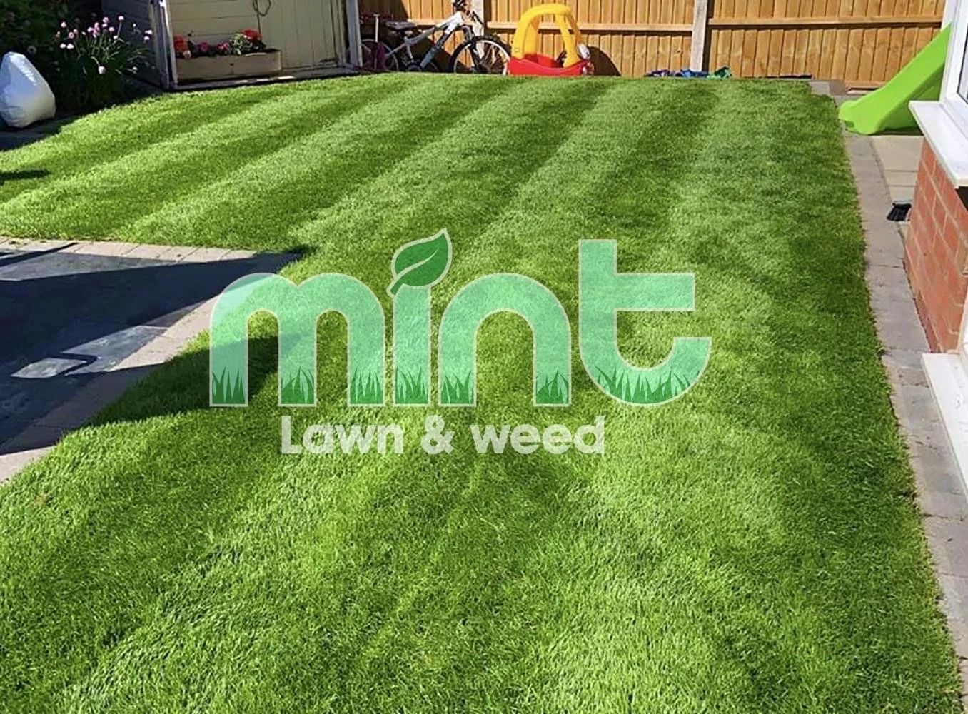 Gallery — Mint Lawn & Weed