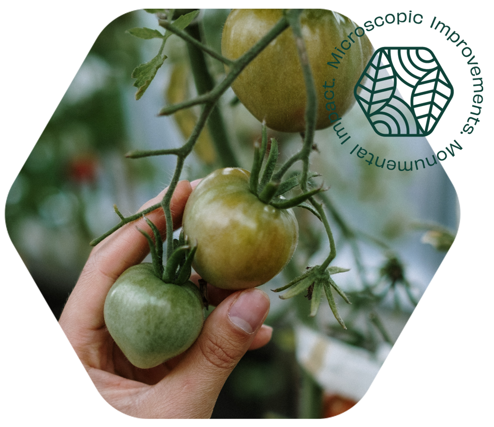 How it works — Glaia