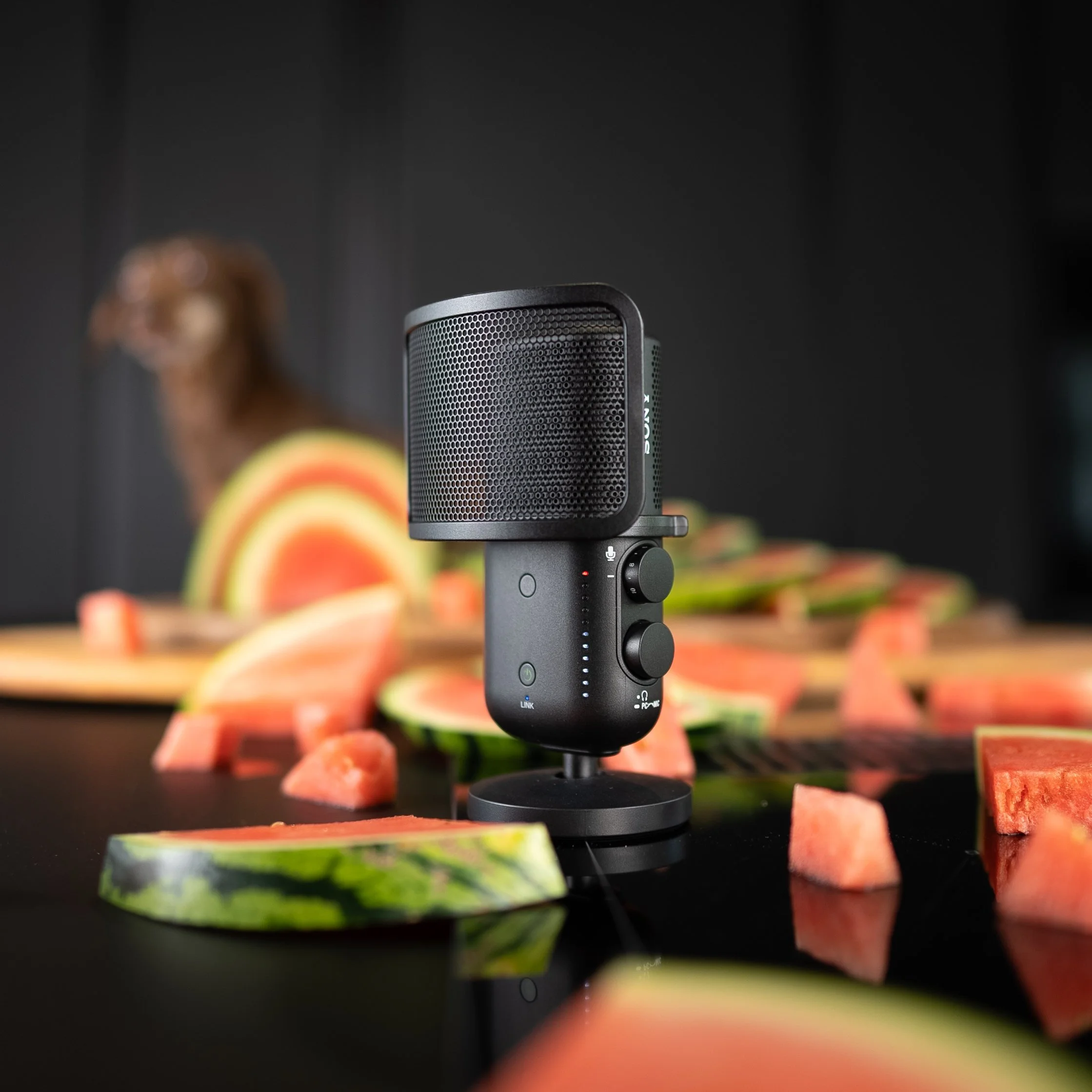 This microphone is a content creators dream! — instadoggo