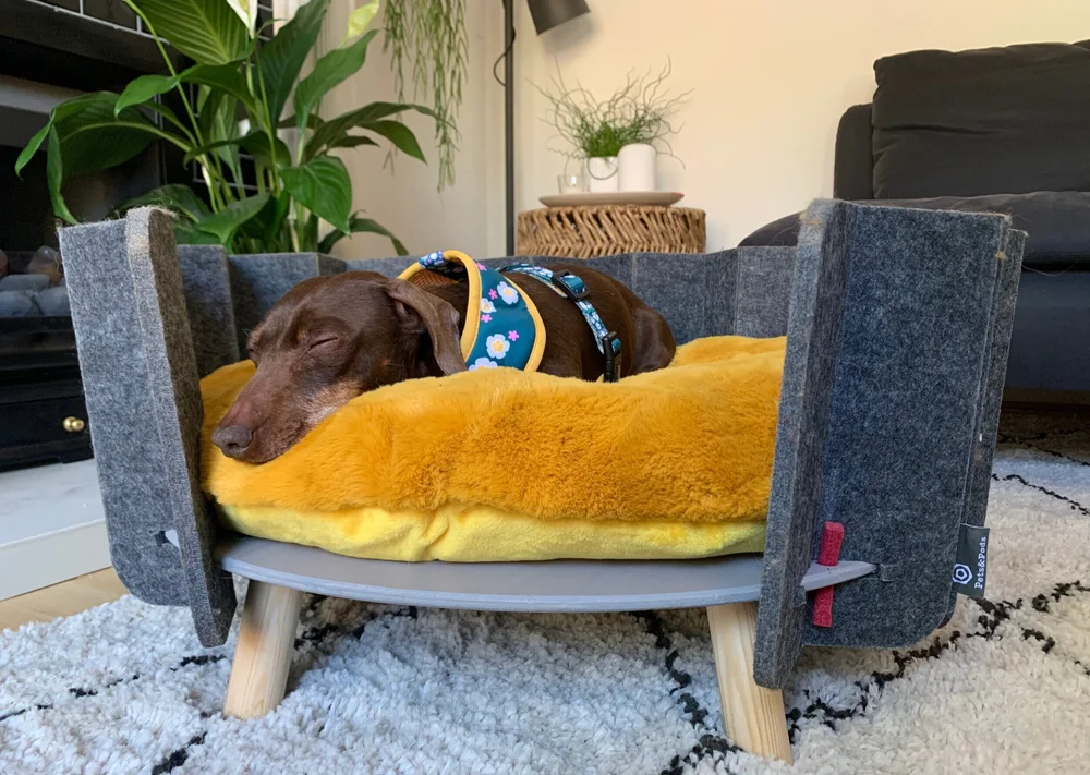 Pets & Pods - Contemporary eco-friendly pet beds, handmade with love ...