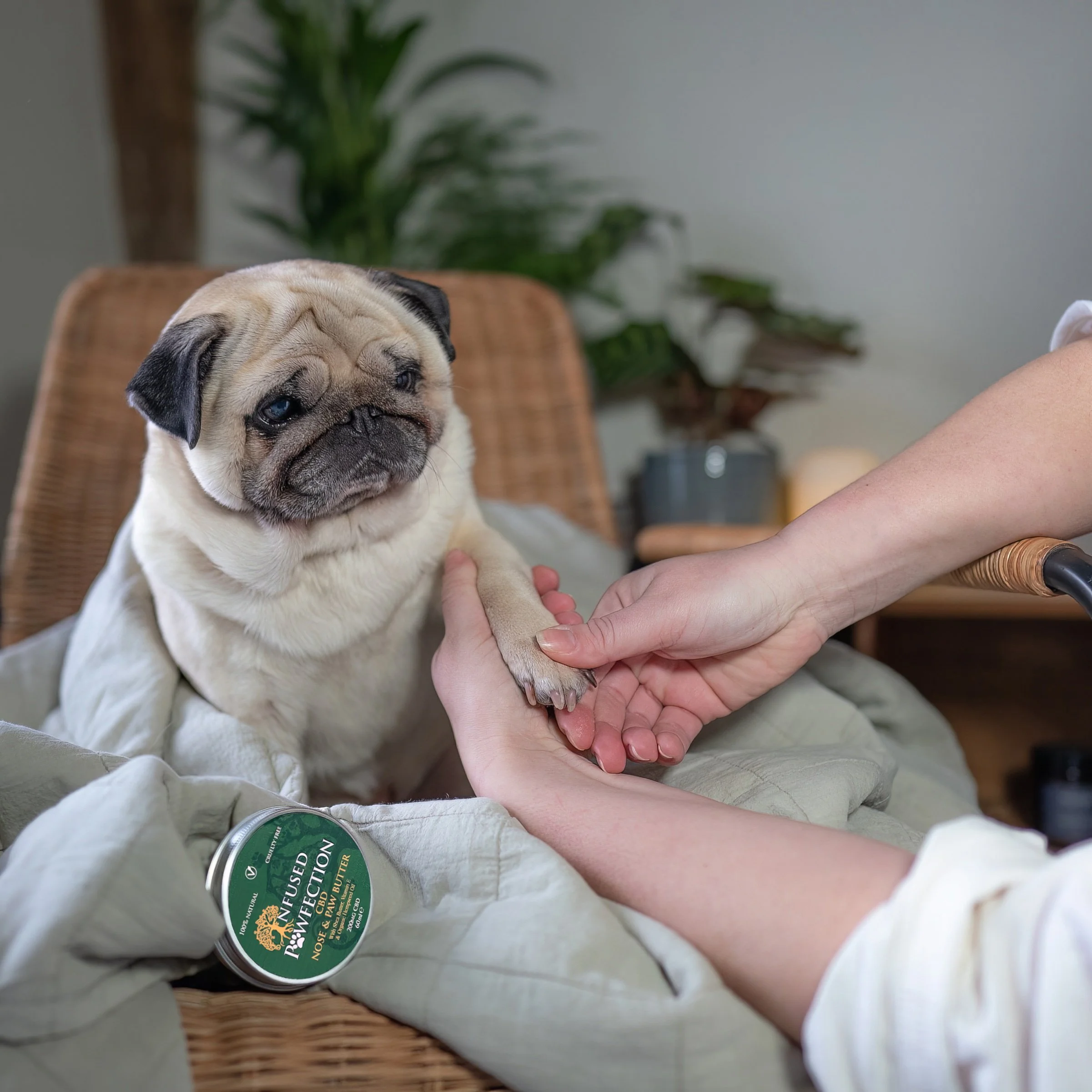 Vita Canis - Trail Blazing lotions and potions to improve your pooches ...