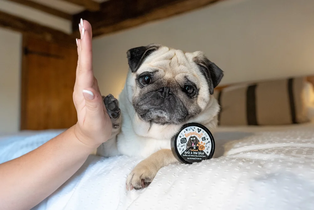 BUGALUGS - An exciting range of quality vegan grooming products made ...