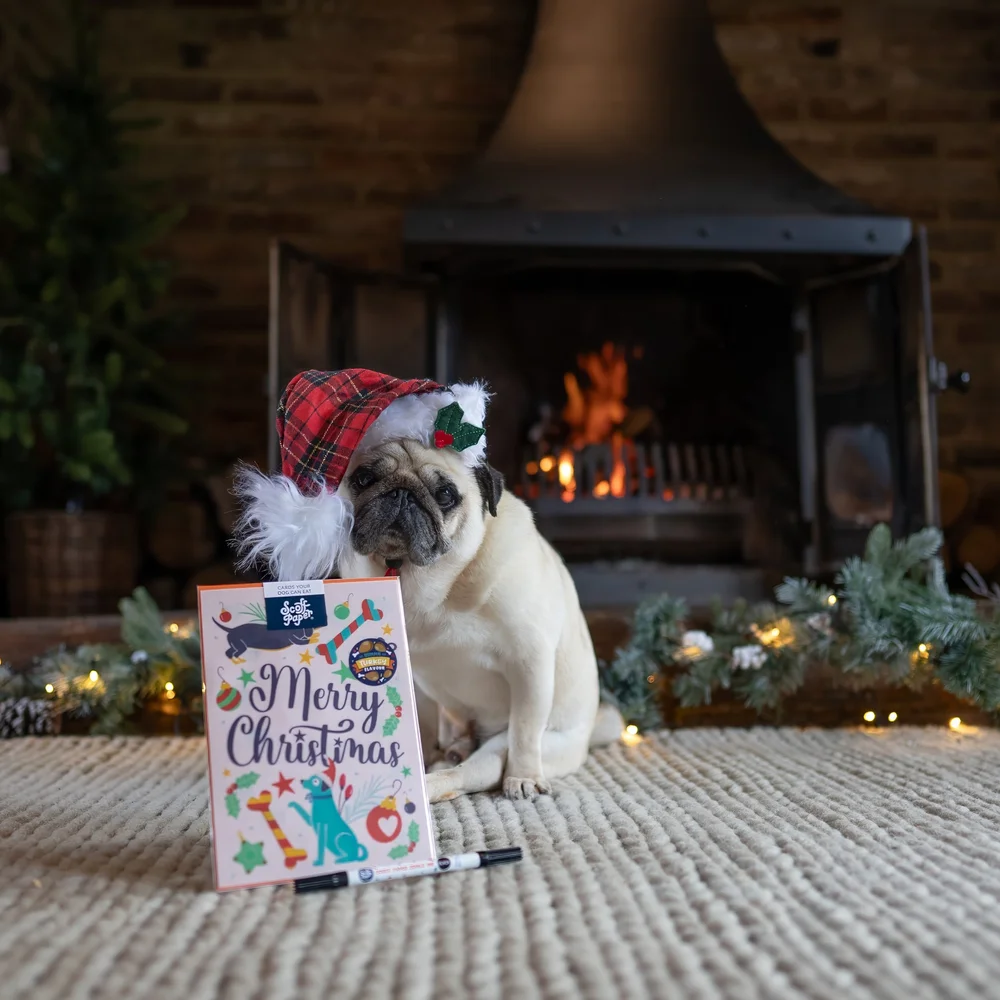 The world’s first edible greetings cards for dogs! — instadoggo