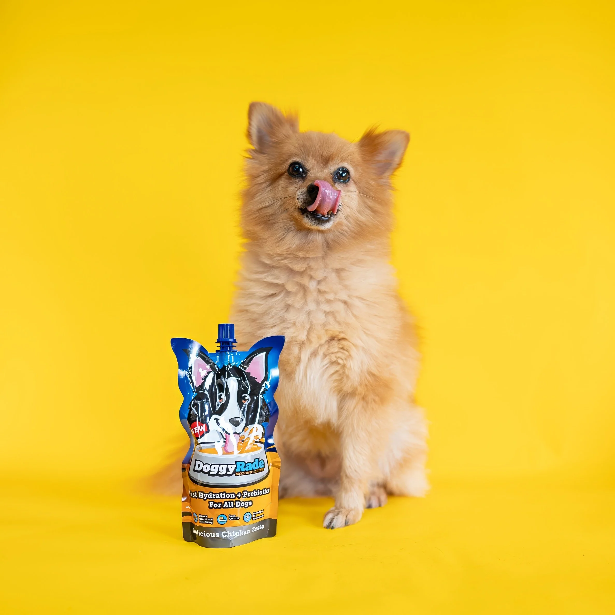 DoggyRade review - the irresistibly tasty hydration drink for doggos ...