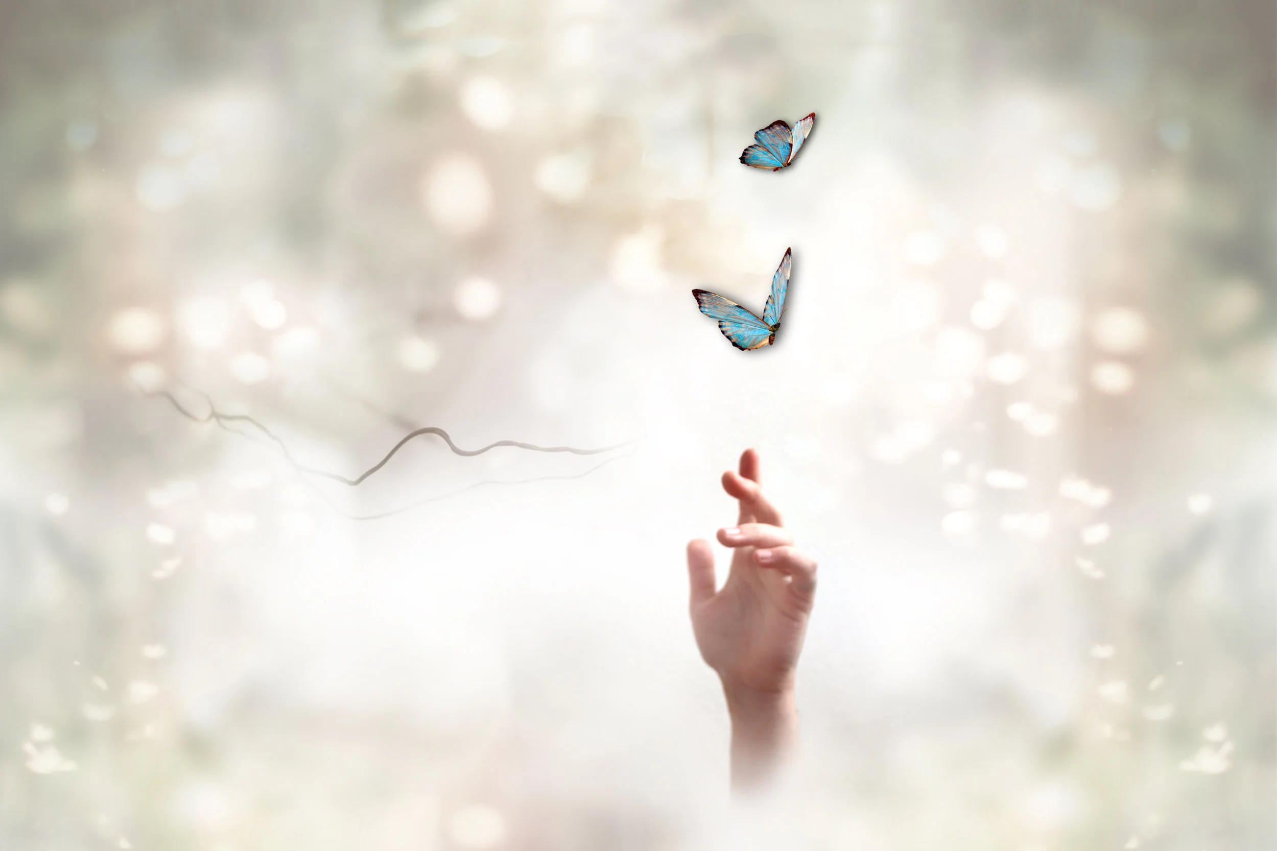 Brainspotting, Somatic Experiencing, Neuroaffective Touch, Safe & Sound ...