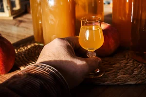 Homemade Hard Cider & Apple Wine (Apfelwein) Recipe — The Bauernhaus