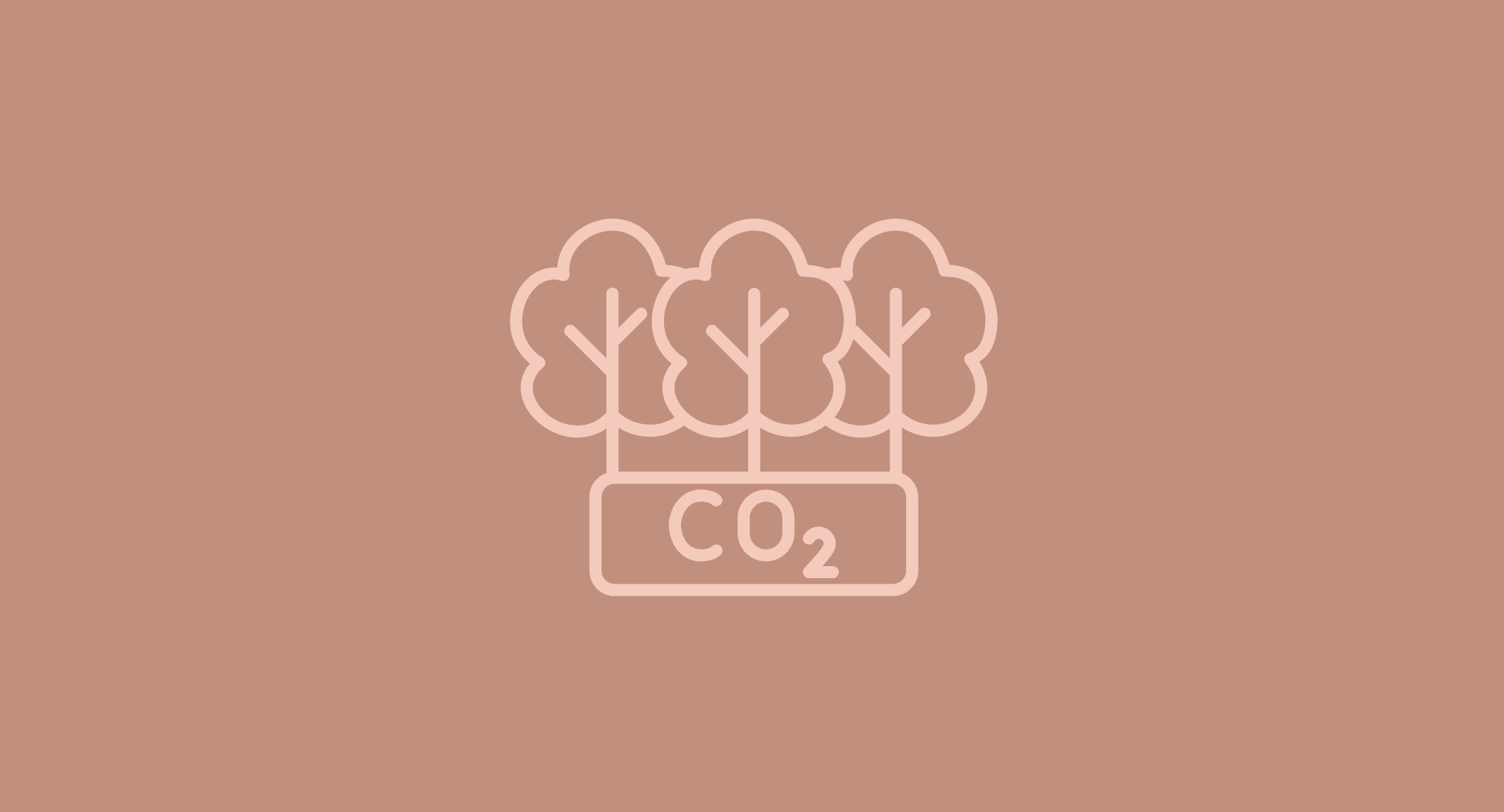 Carbon offsetting or carbon insetting? — Sustaina Company