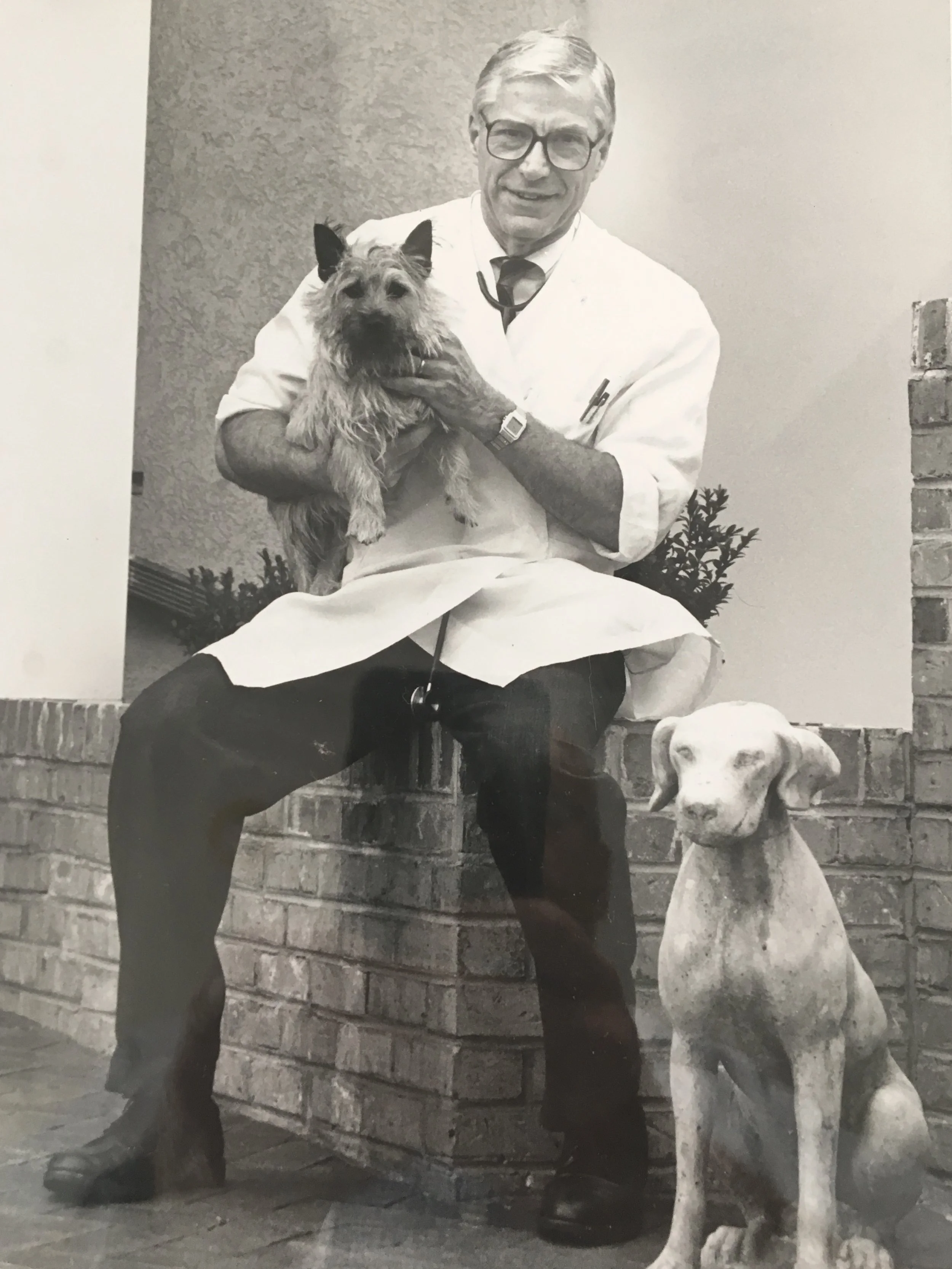 Our Team — Benson Animal Hospital