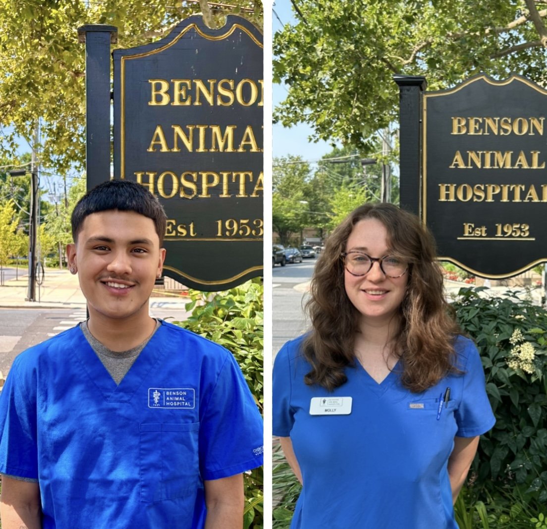 Our Team — Benson Animal Hospital