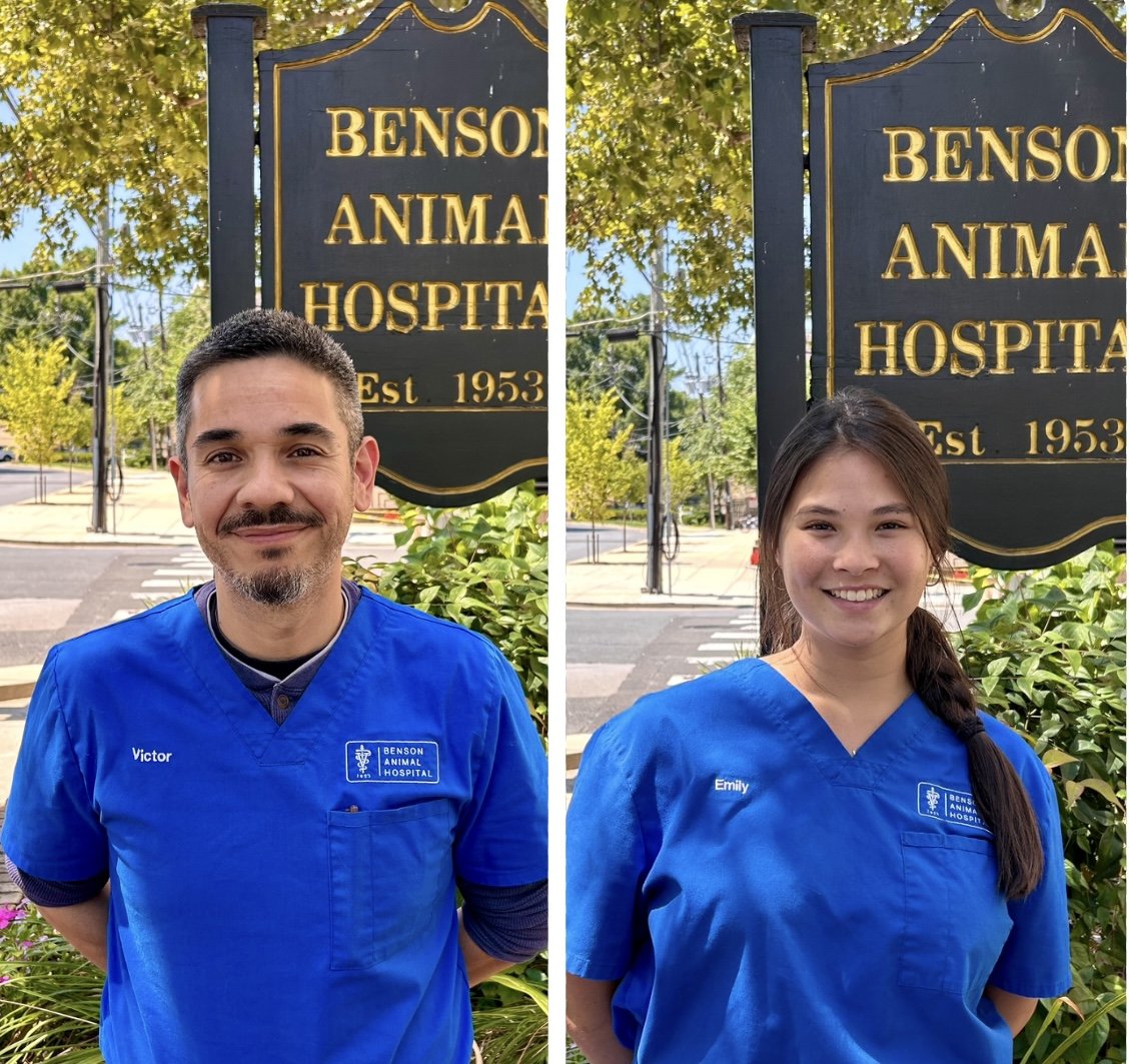 Our Team — Benson Animal Hospital