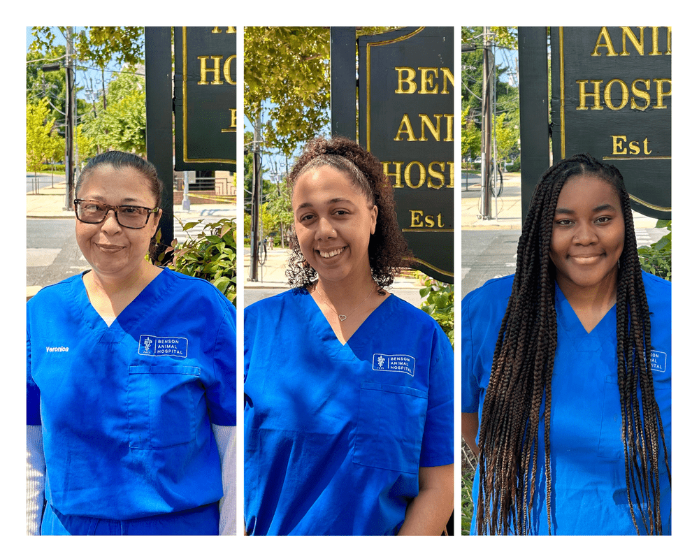 Our Team — Benson Animal Hospital
