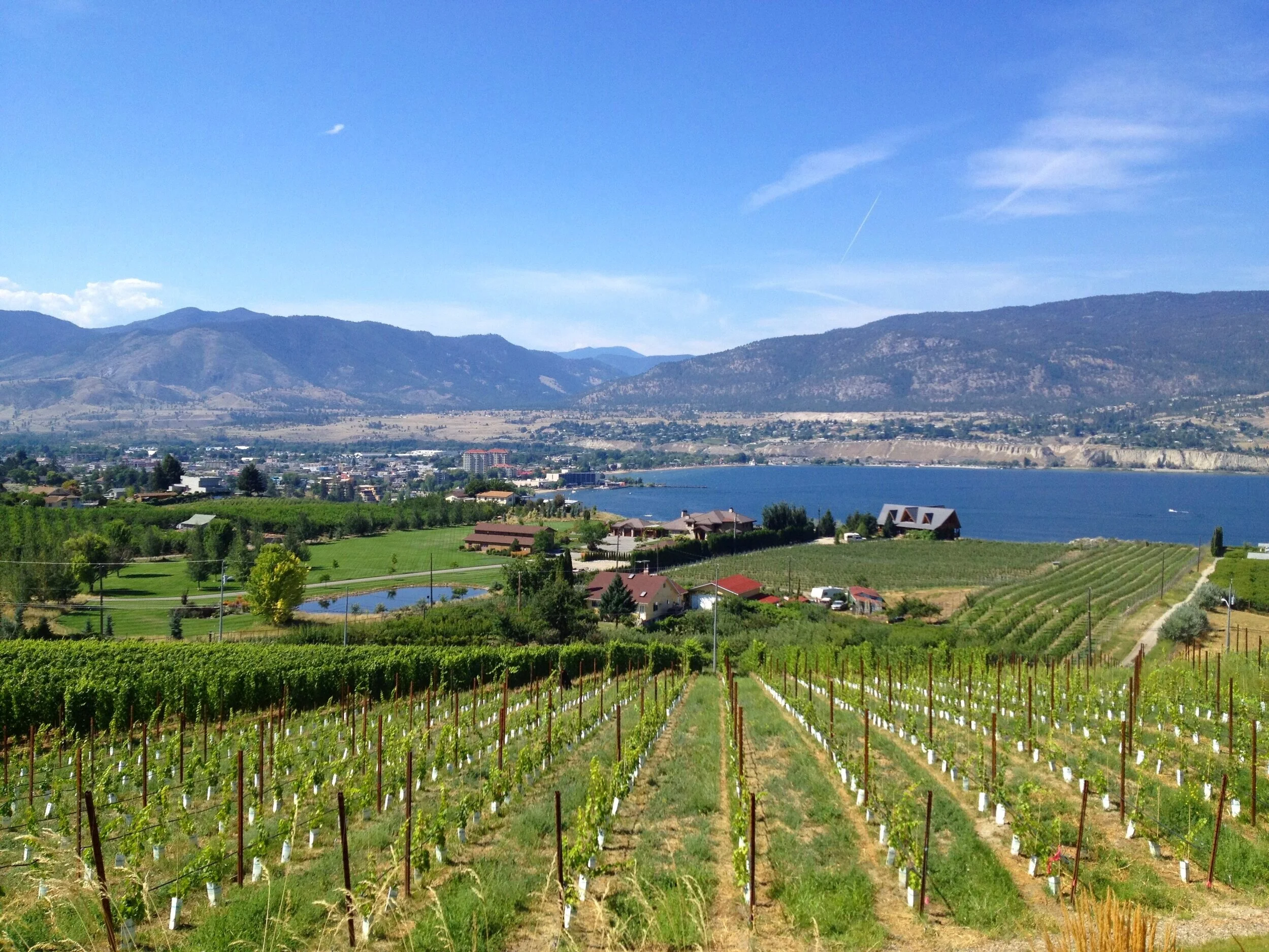 Wine Tours Naramata | Luxury Executive Tours