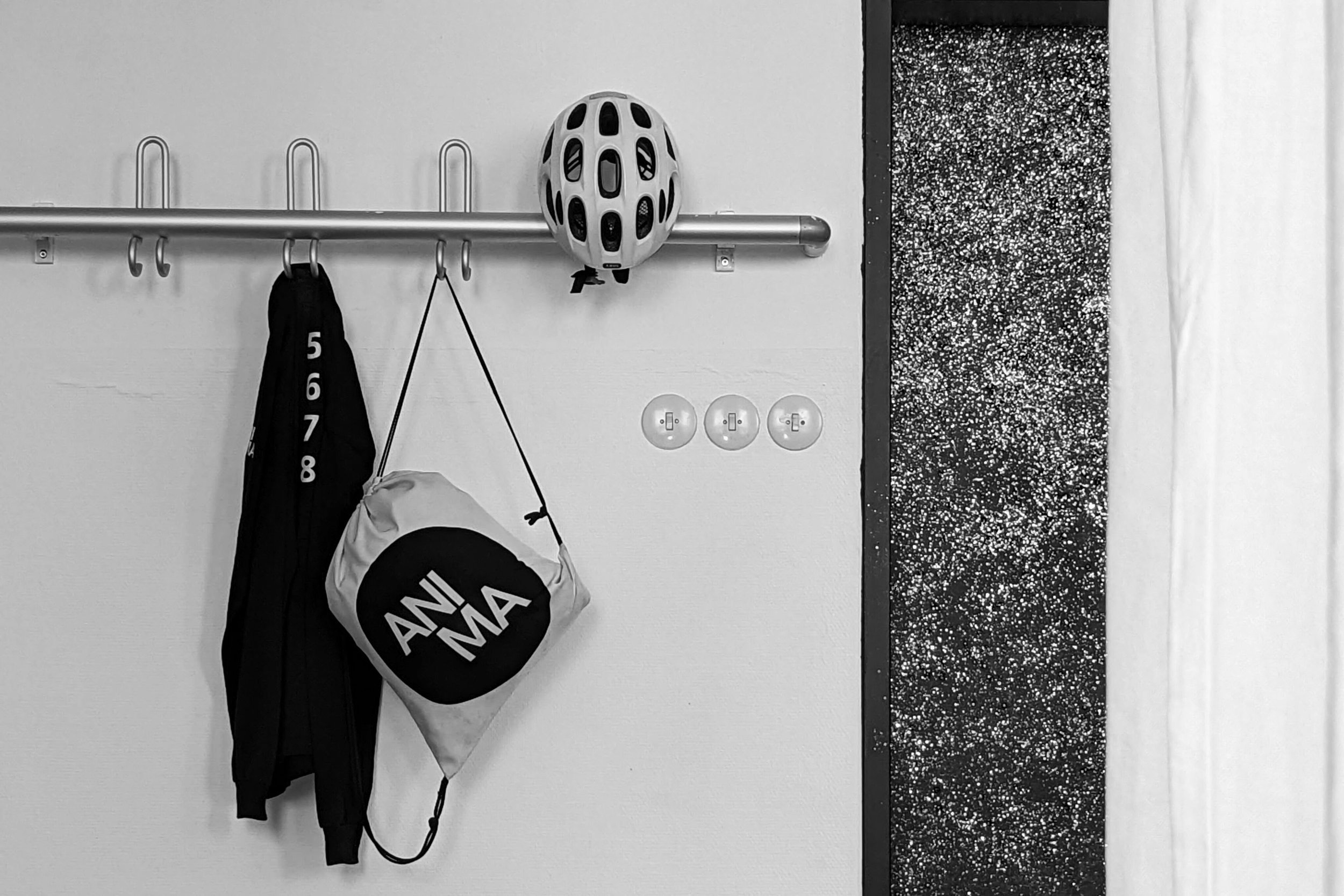 timetable — ANIMA FABRIK