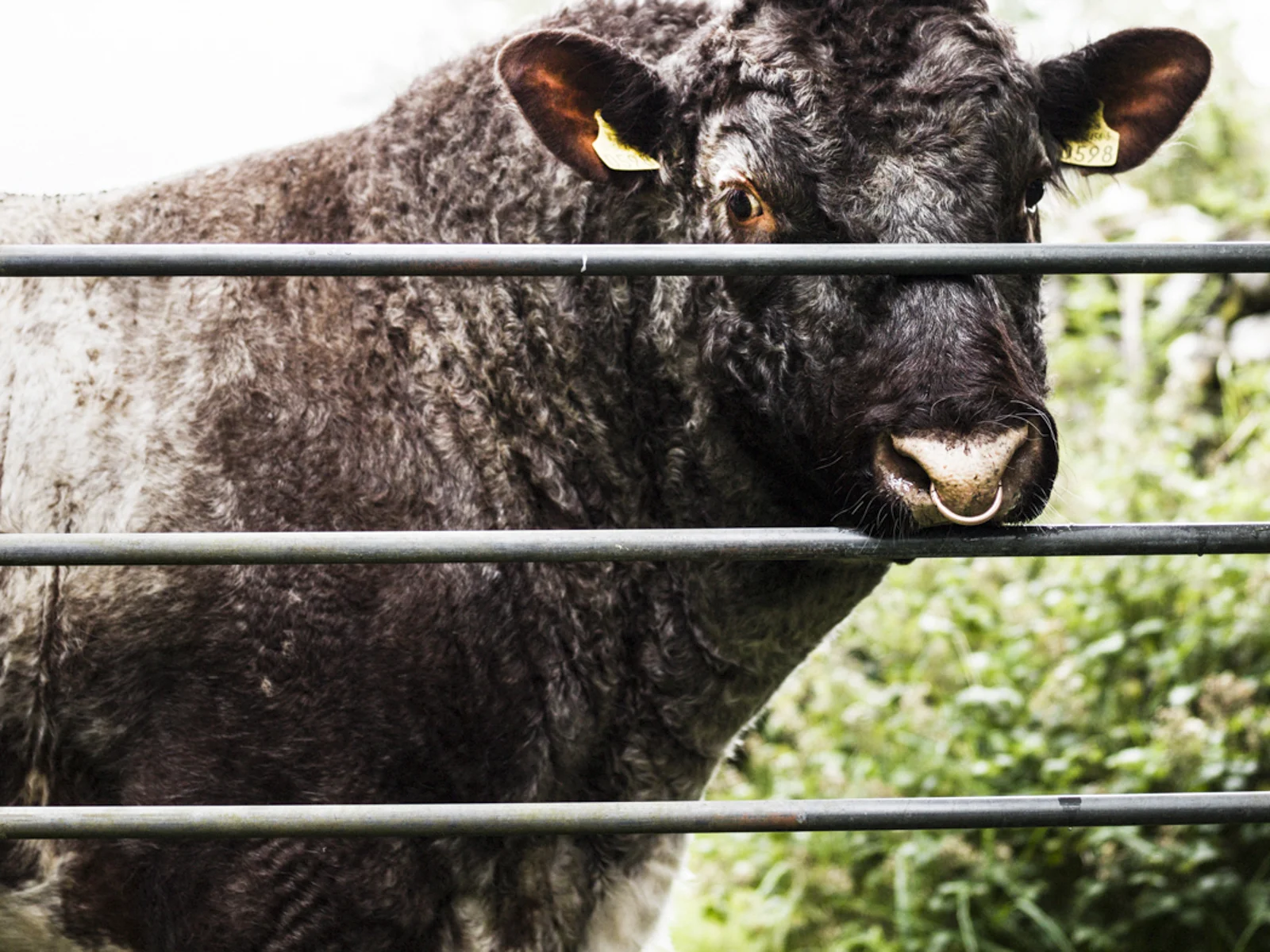 BLOG POST_WEST COAST OF IRELAND — Raglan Road