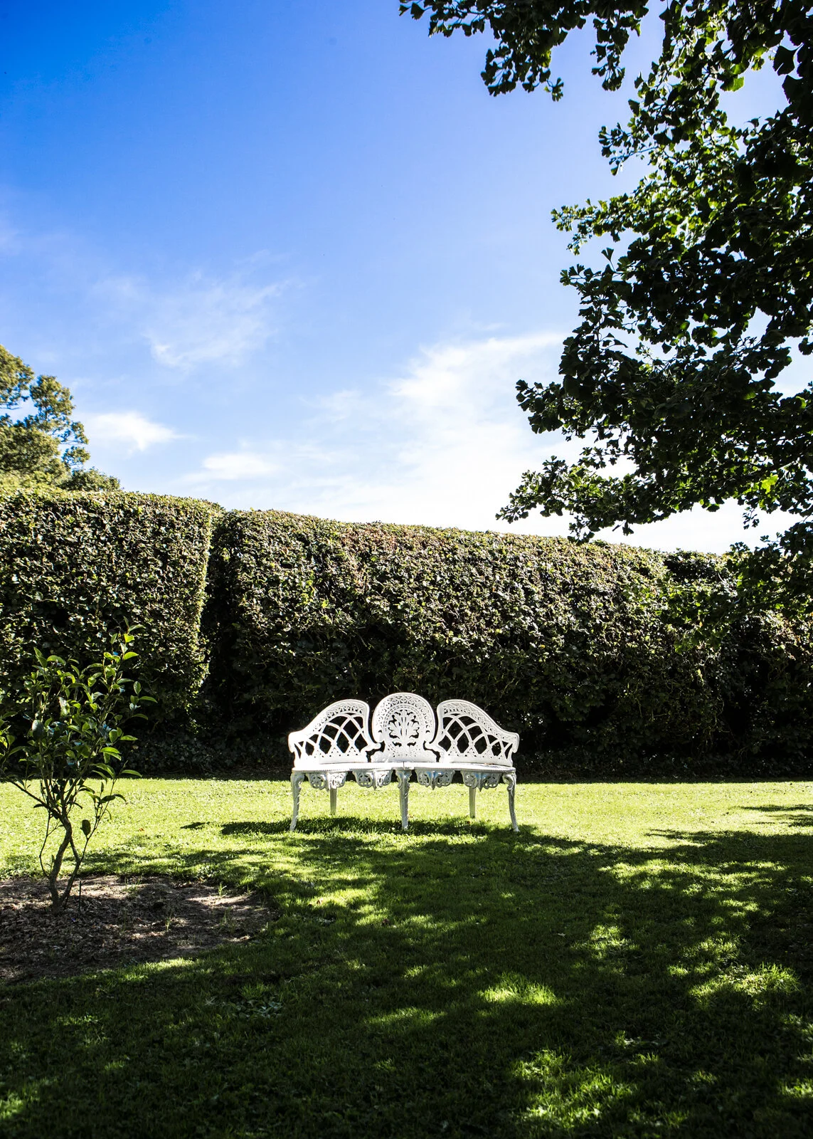 BLOG BALLYVOLAVE HOUSE — Raglan Road