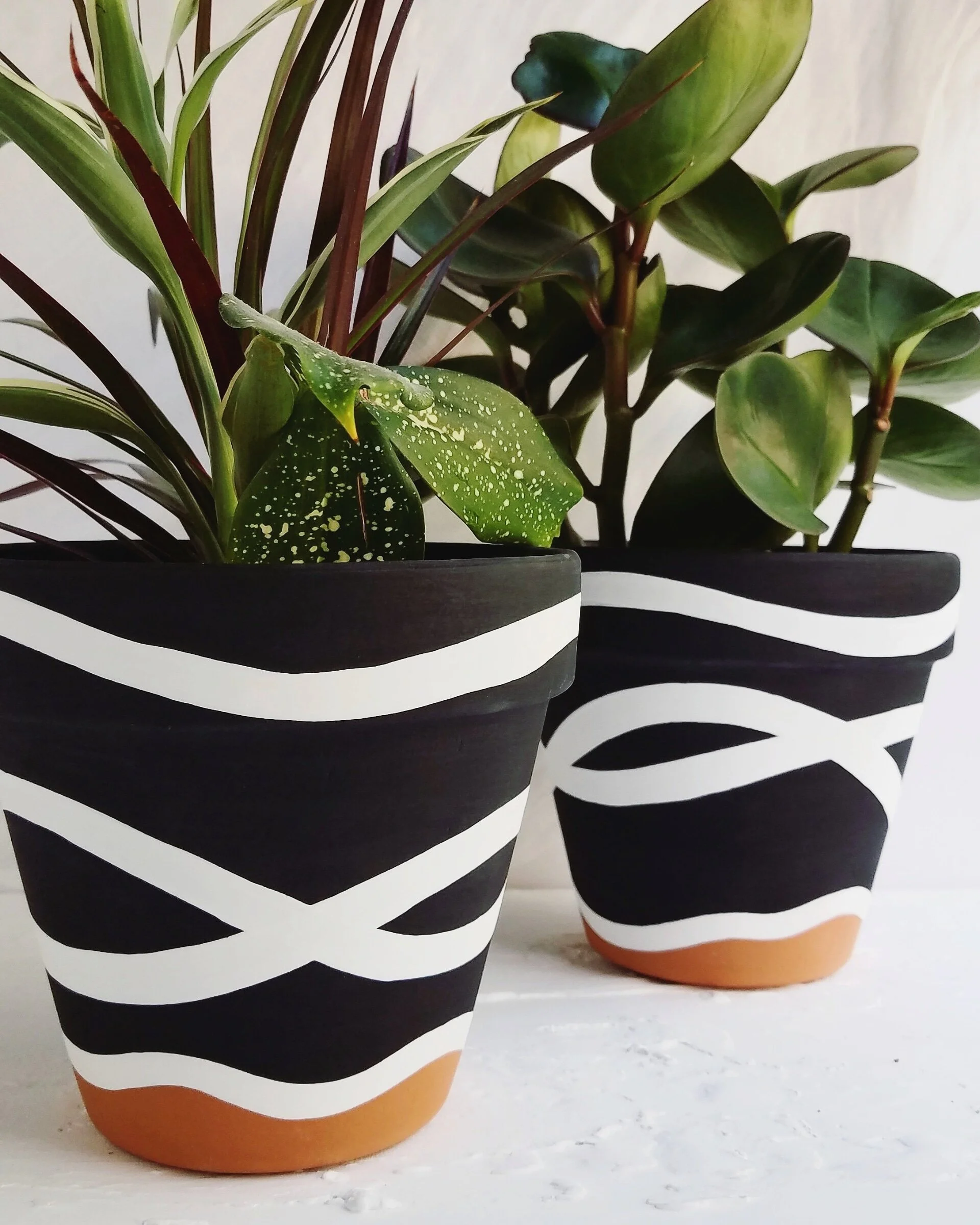 Criss-Cross Planter — Franky and J.