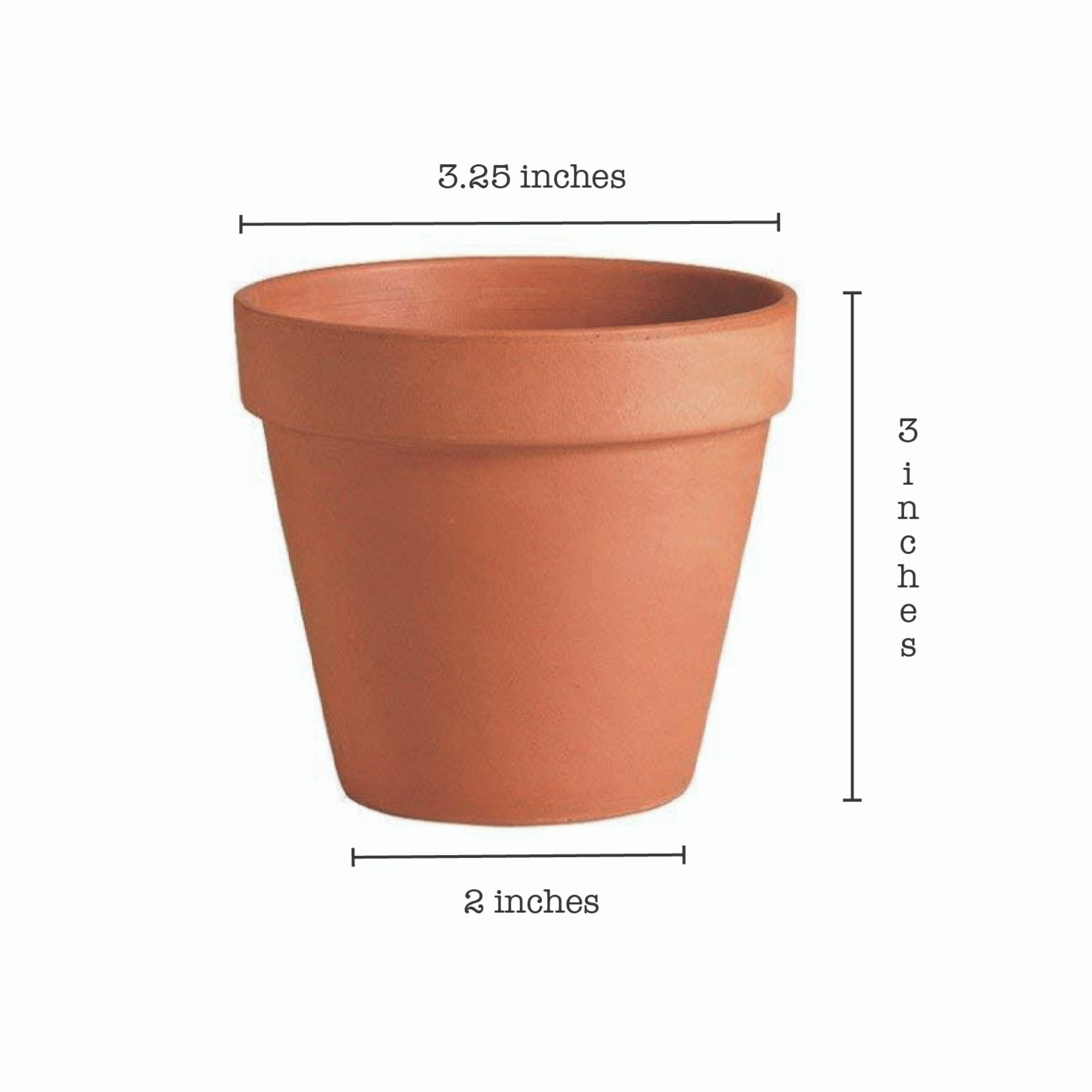 Criss-Cross Planter — Franky and J.