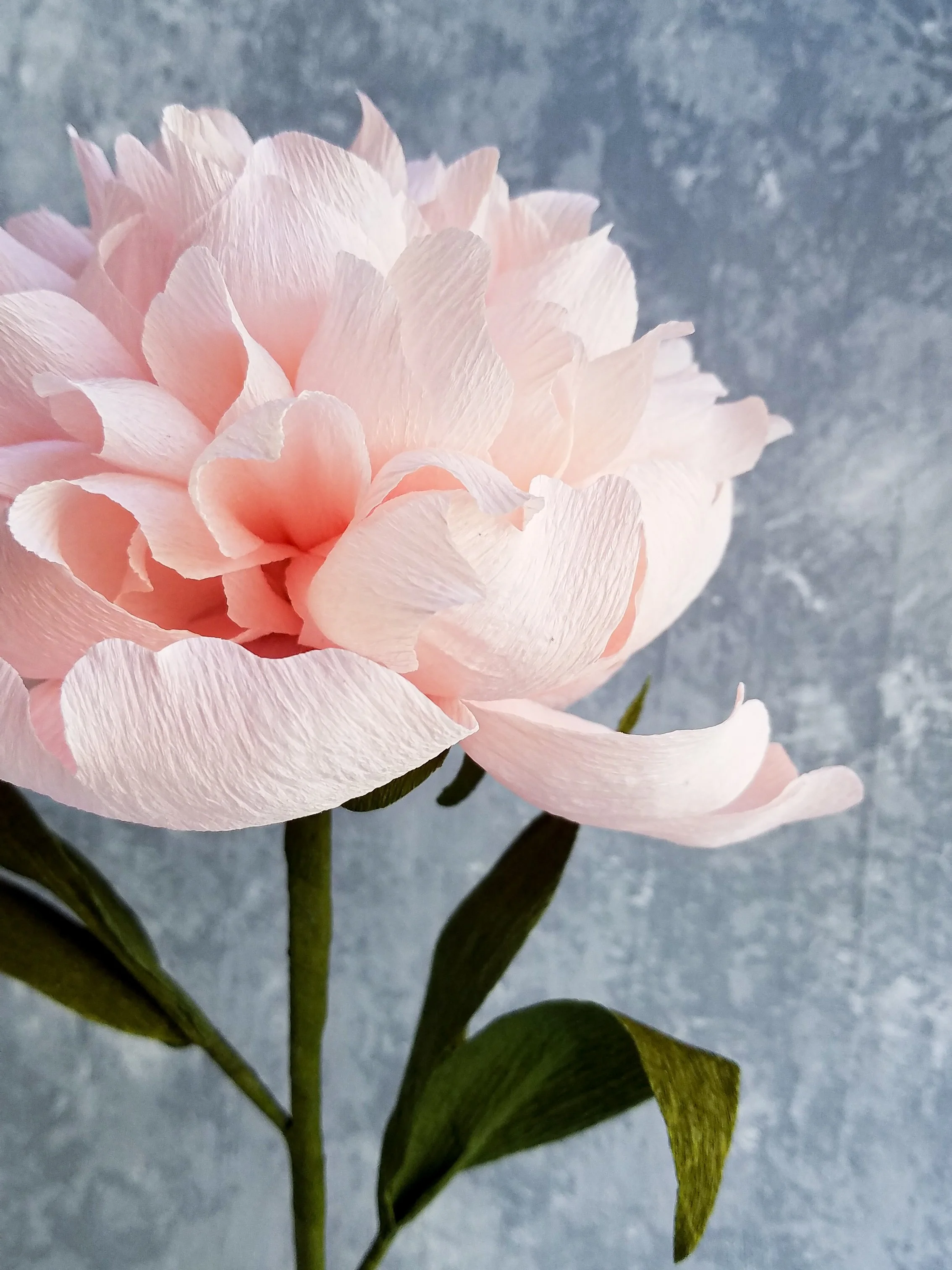 Crepe Paper Peony Flower — Franky and J.