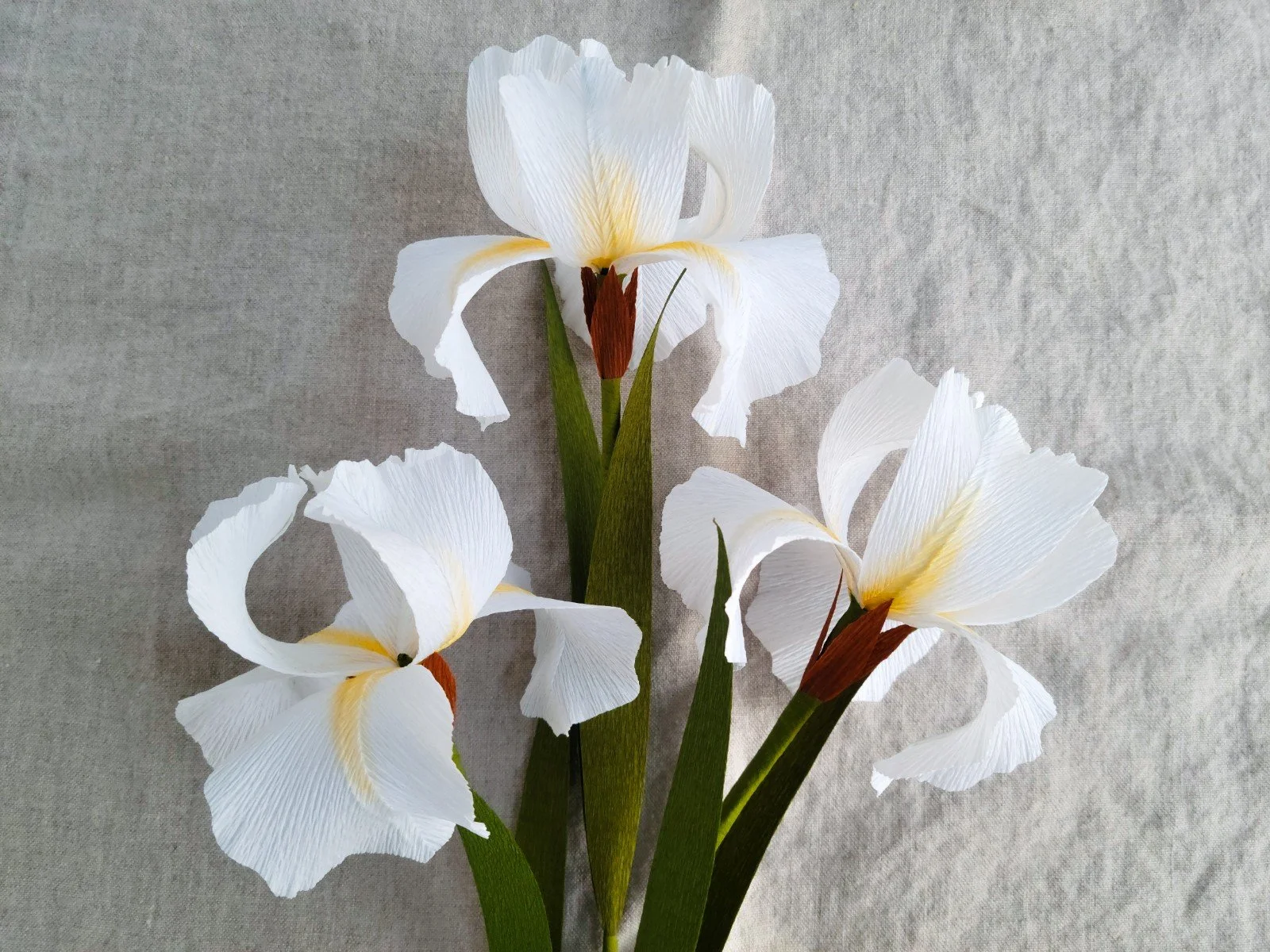 Crepe Paper Iris Flower — Franky and J.